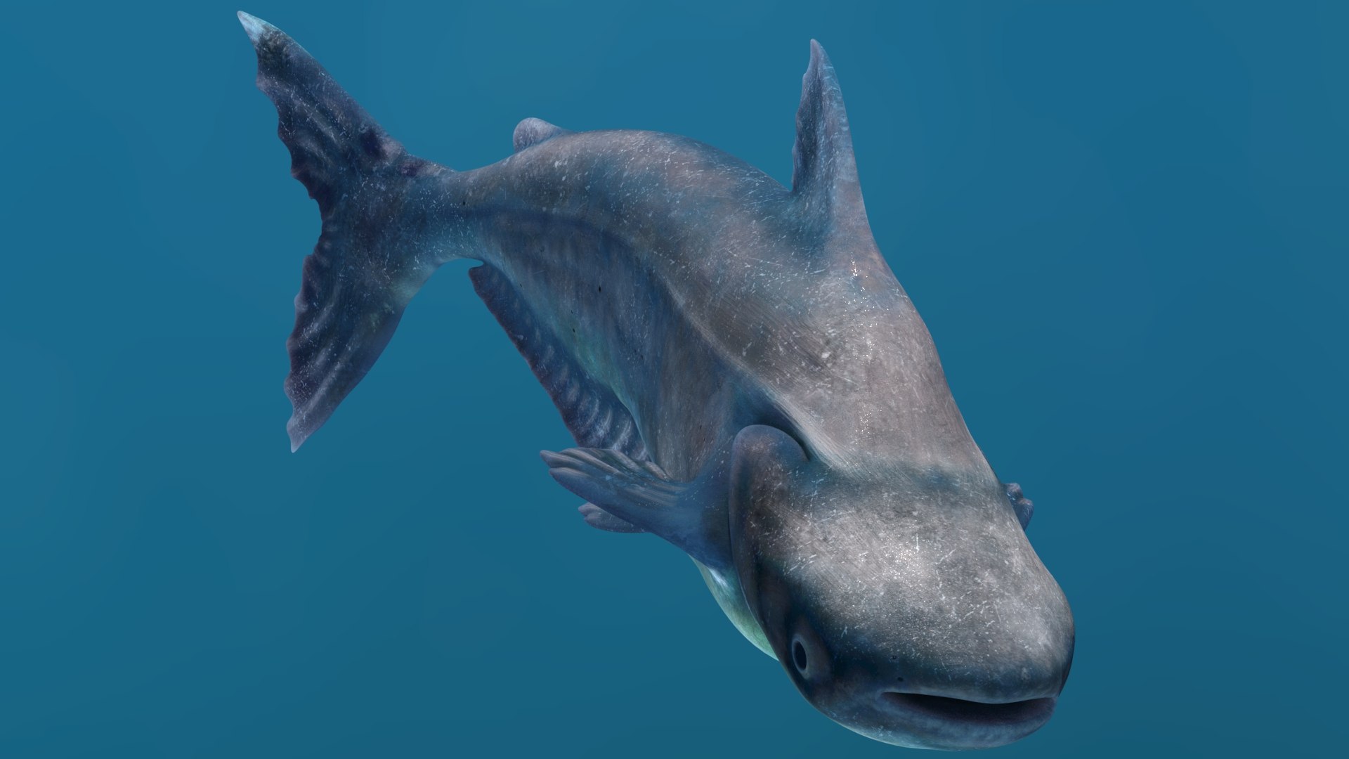 Rigged Mekong Giant Catfish 3D Model - TurboSquid 2089730