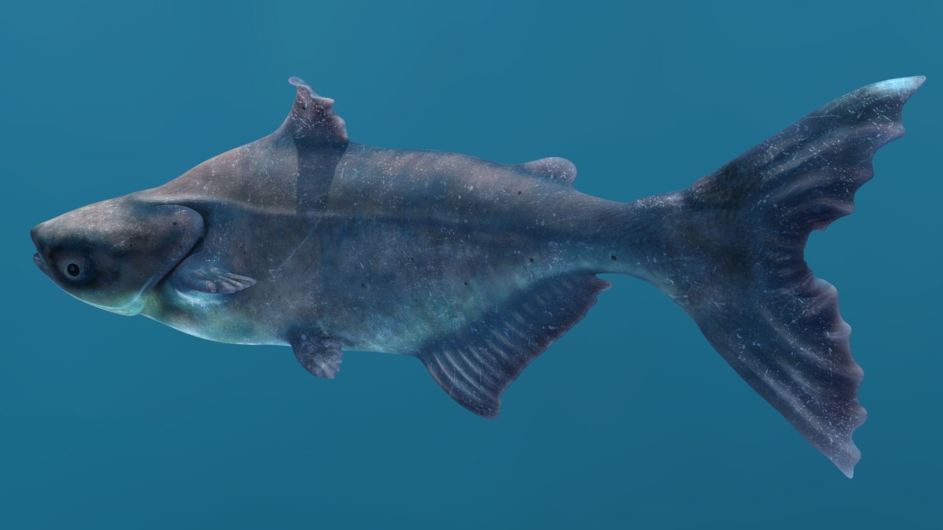 Rigged Mekong Giant Catfish 3D Model - TurboSquid 2089730