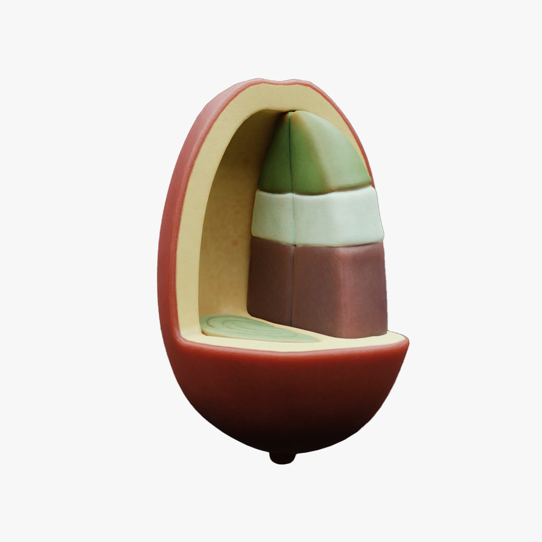 3D Anatomy of the Coffee Fruit model - TurboSquid 2098608