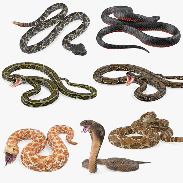 Viper 3D Models for Download | TurboSquid