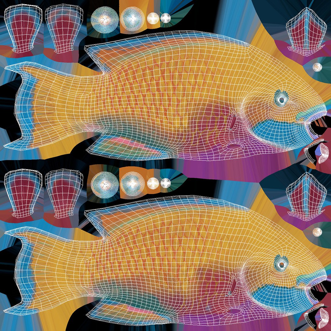 3D Chlorurus Gibbus Model - TurboSquid 2151660