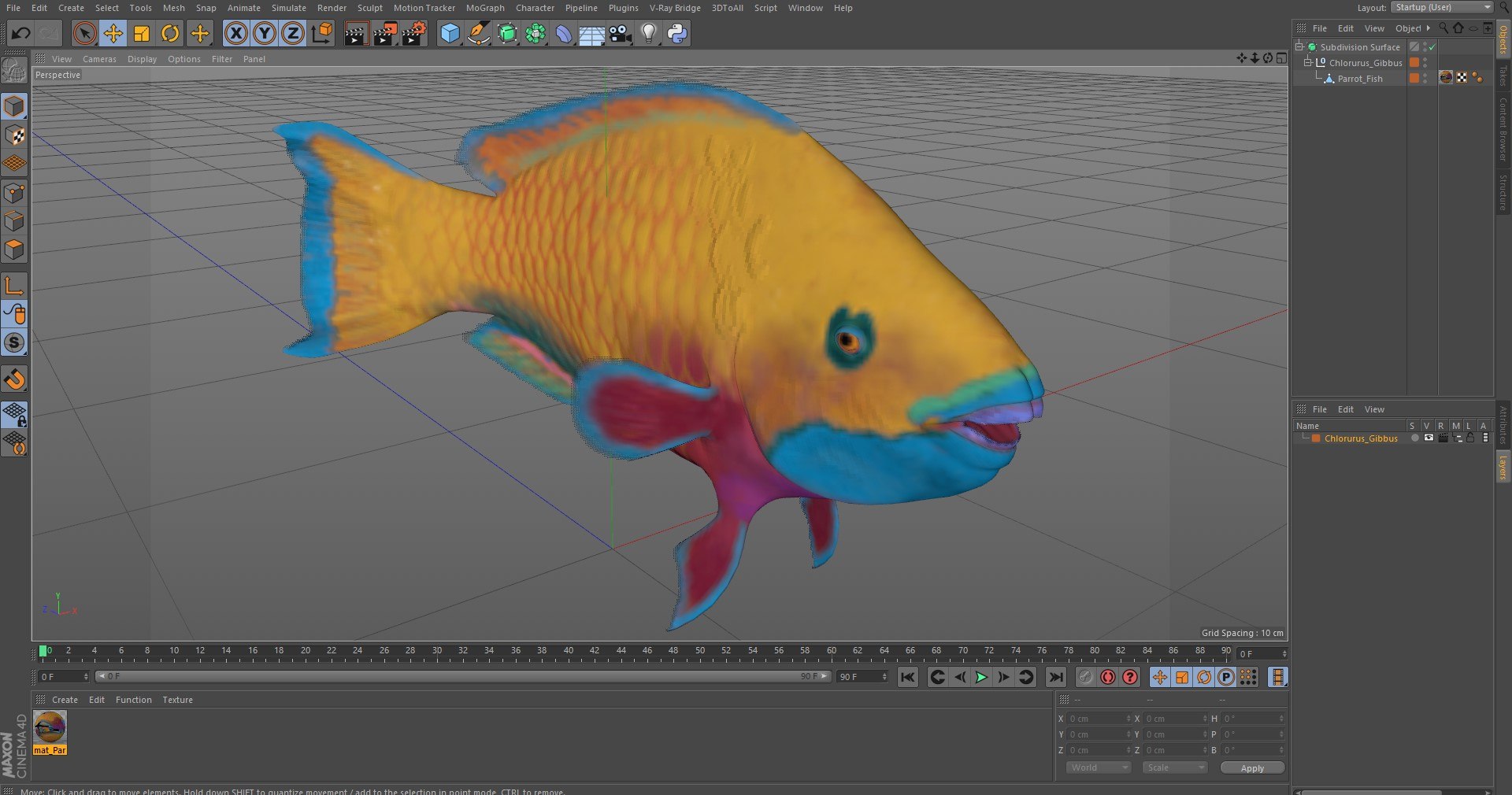 3D Chlorurus Gibbus Model - TurboSquid 2151660
