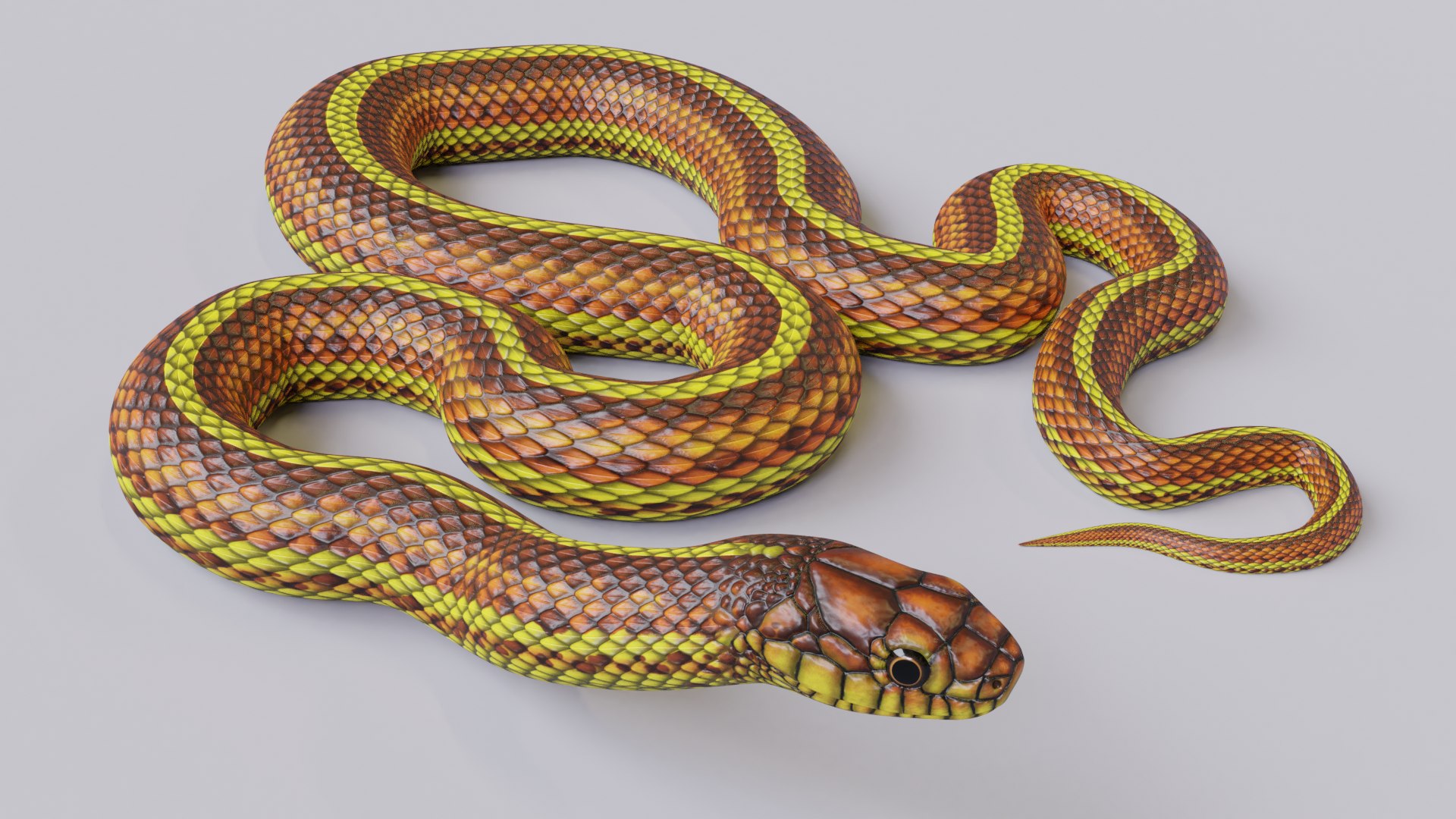 3D Yellow Snake - Rigged Model - TurboSquid 1774482