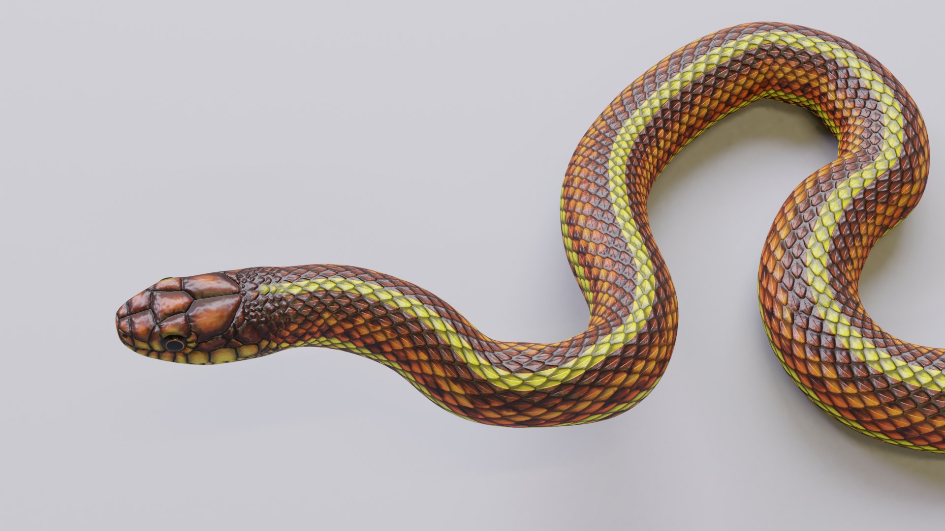 3D Yellow Snake - Rigged Model - TurboSquid 1774482