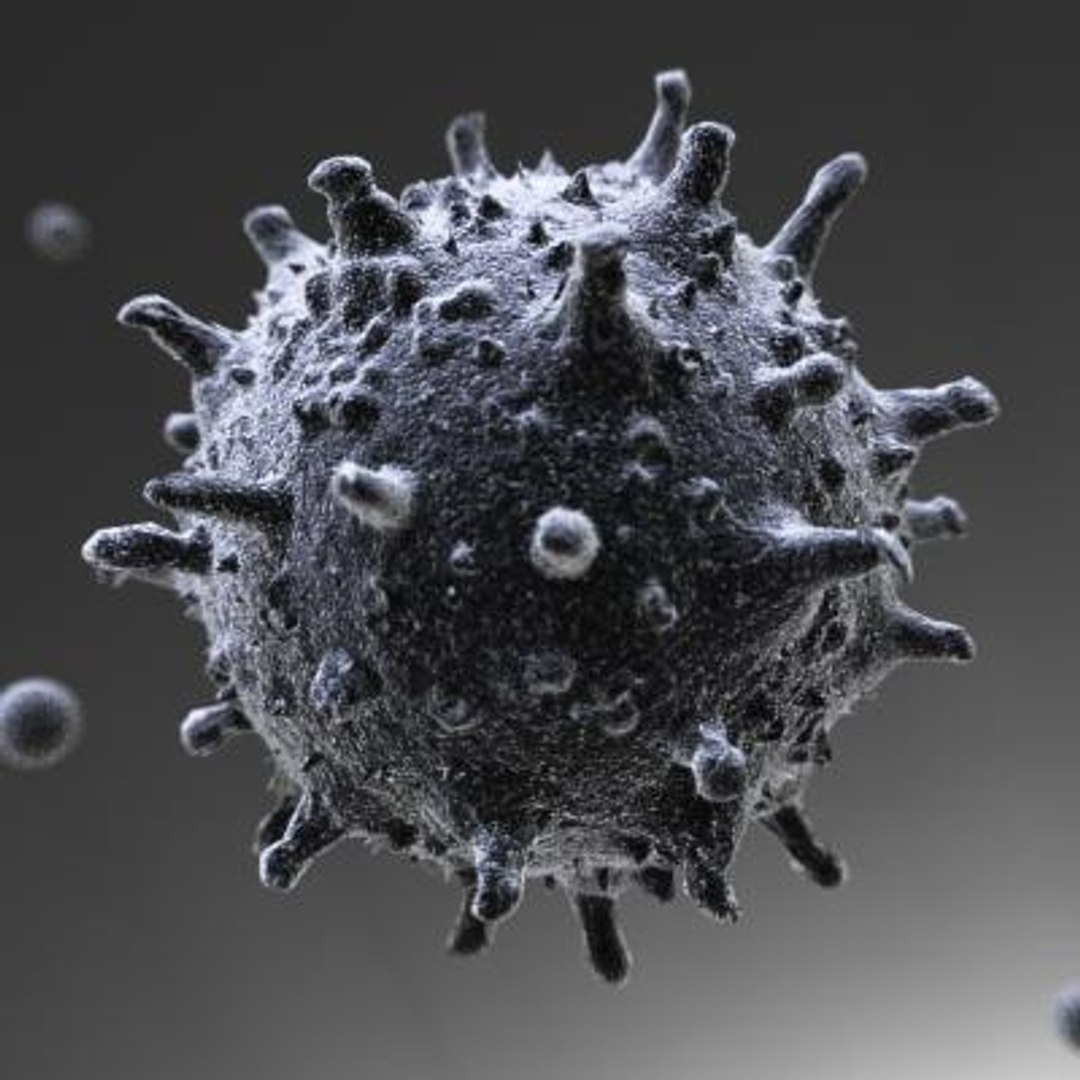 Humans Sars Virus C4d