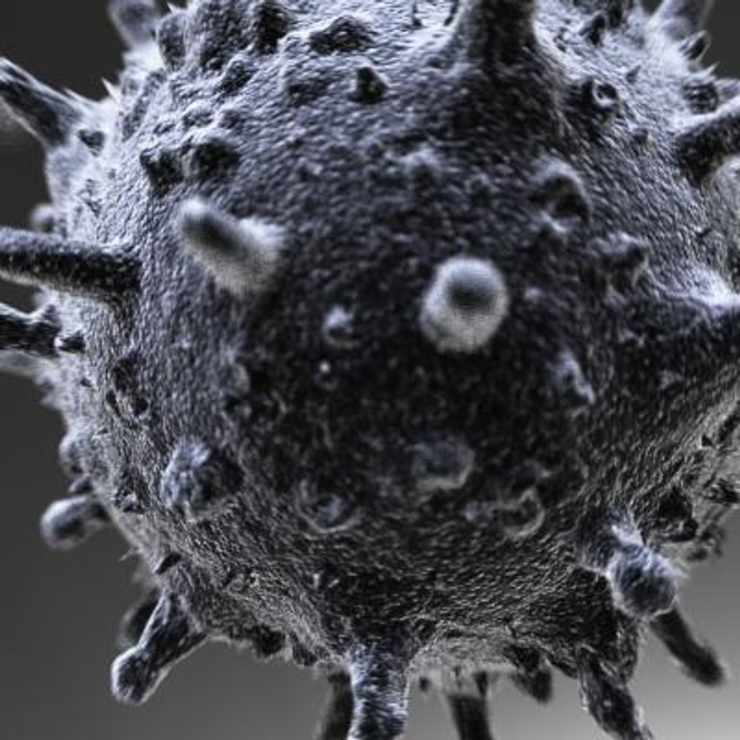 Humans Sars Virus C4d
