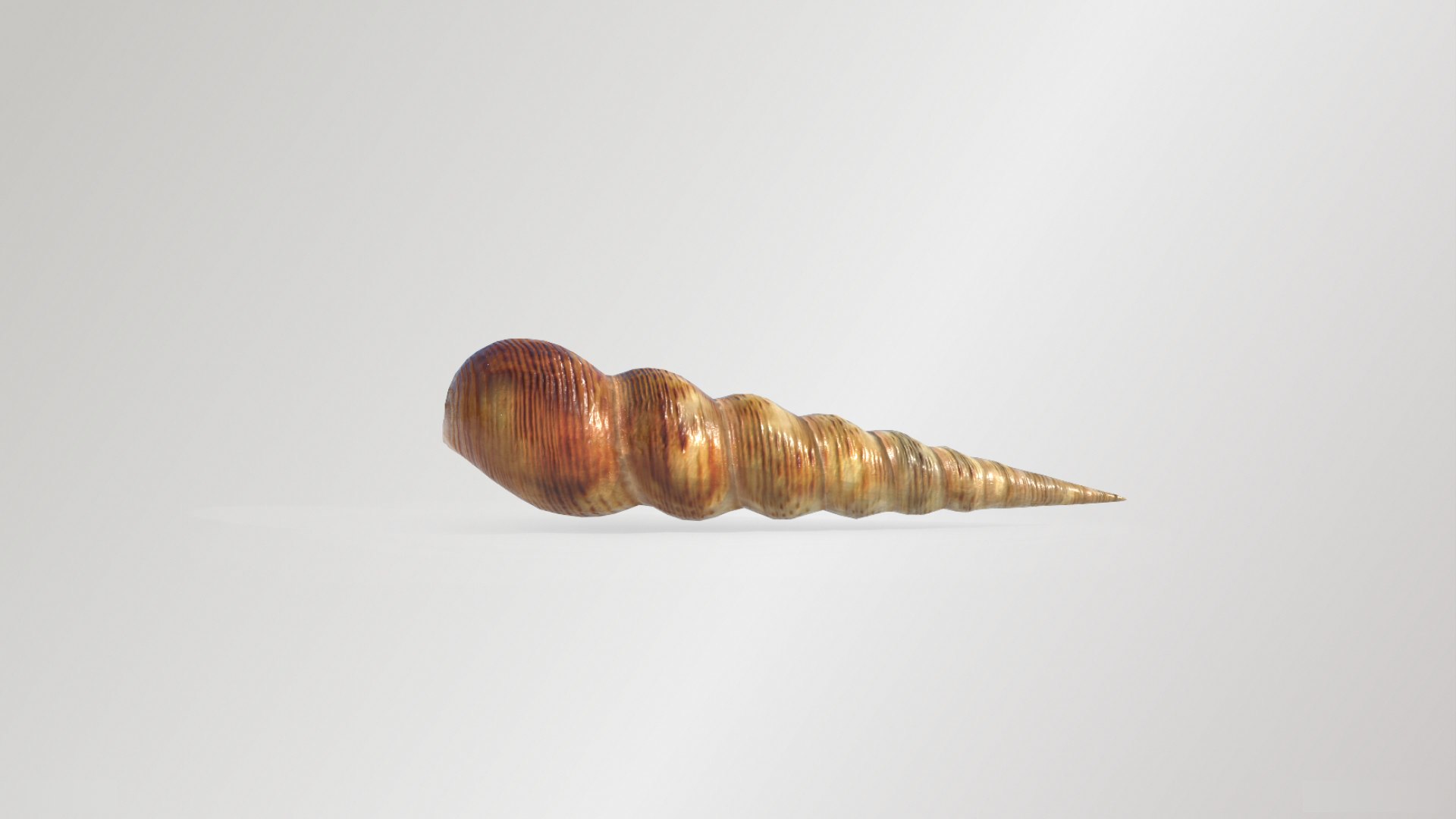 3D Model Turret Shell - TurboSquid 2265930