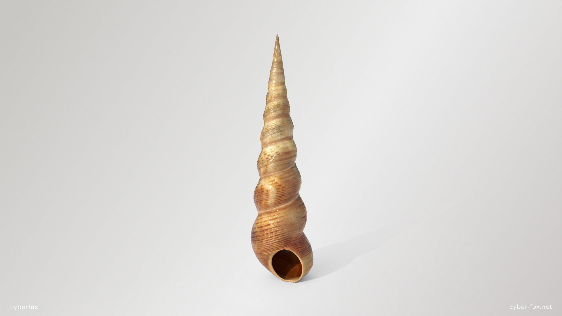 3D Model Turret Shell - TurboSquid 2265930