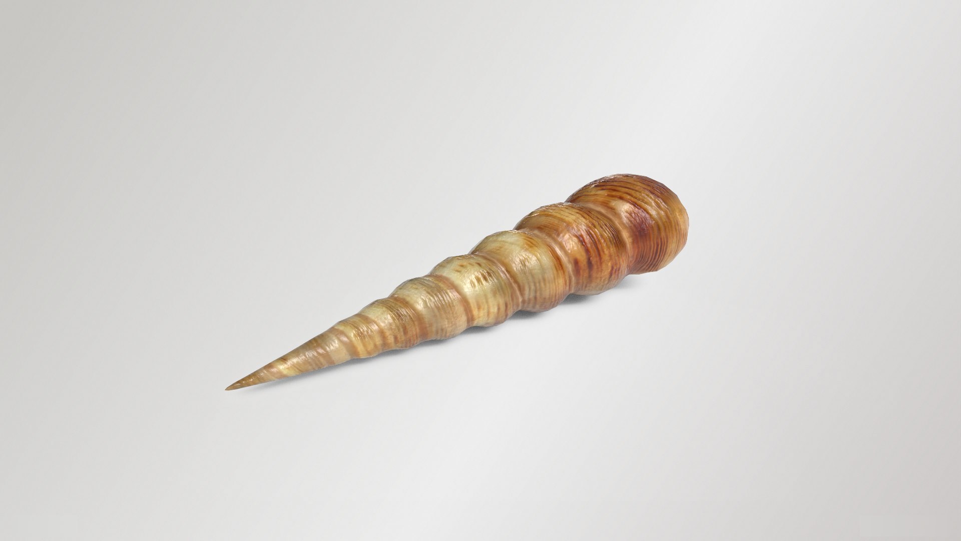 3D Model Turret Shell - TurboSquid 2265930