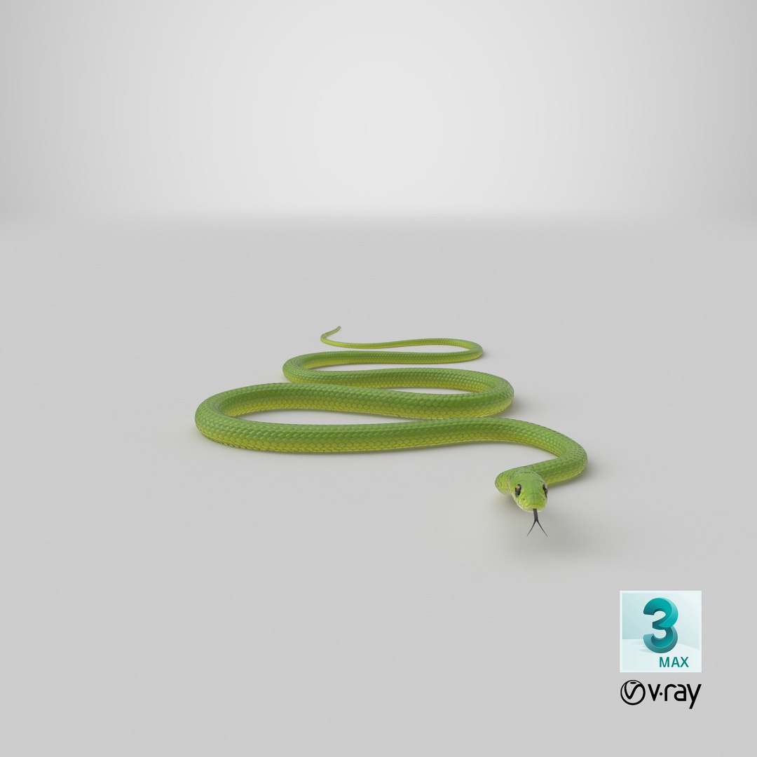 3d model green snake 01