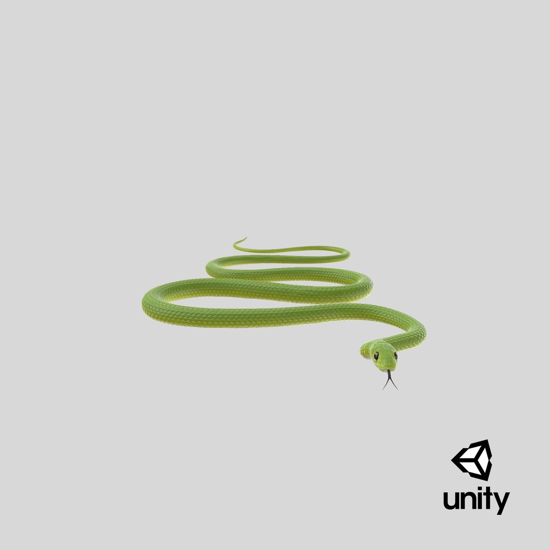 3d Model Green Snake 01