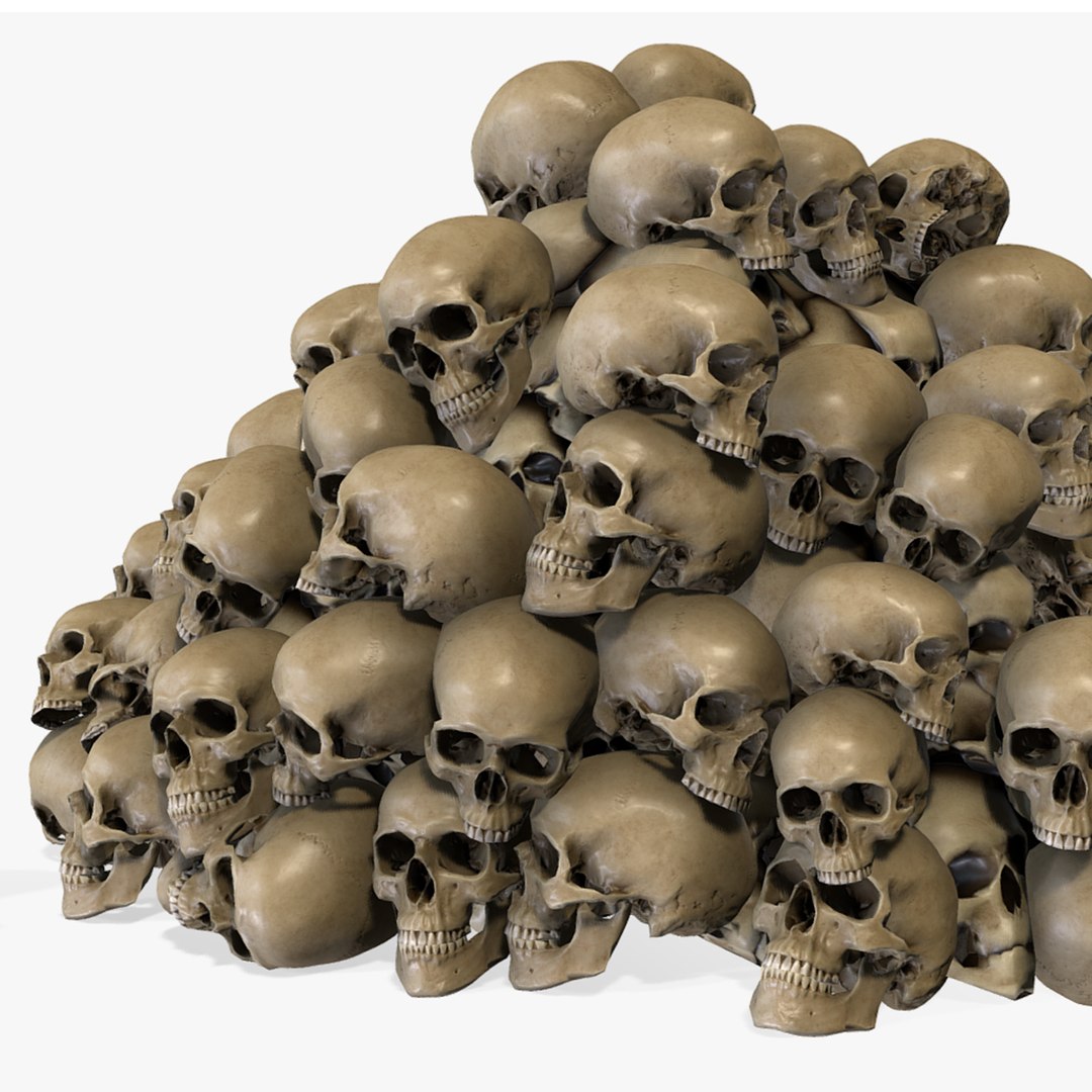 Human Realistic Skulls Lowpoly Set Model - TurboSquid 1770422