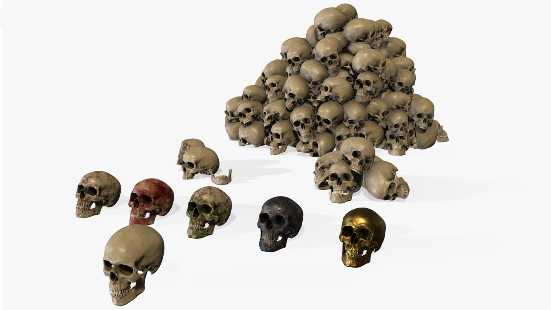 Human Realistic Skulls Lowpoly Set Model - TurboSquid 1770422