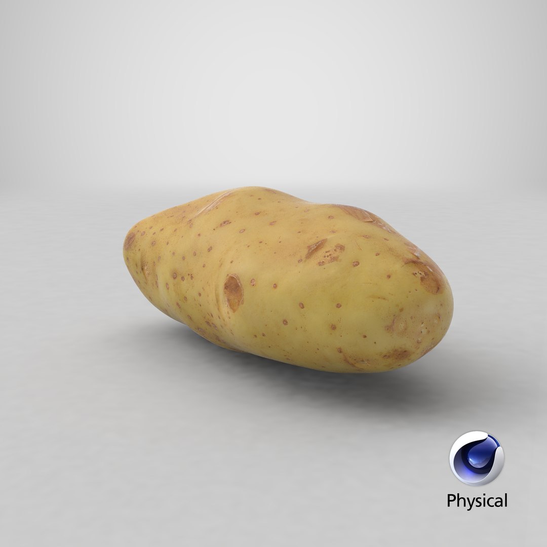 Potato 01 model - TurboSquid 1874095