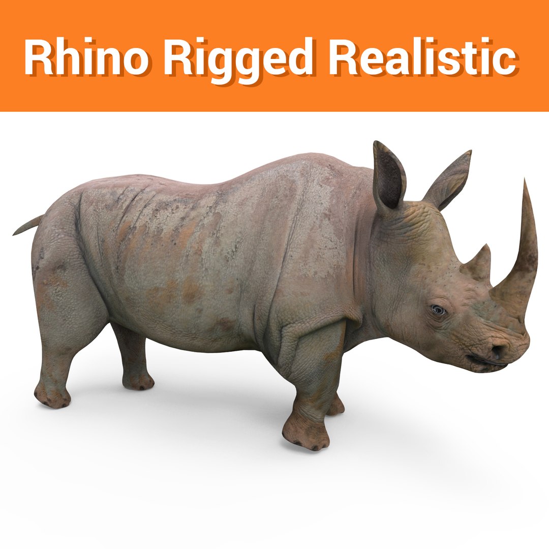 Realistic rhino rigged 3D model - TurboSquid 1268914