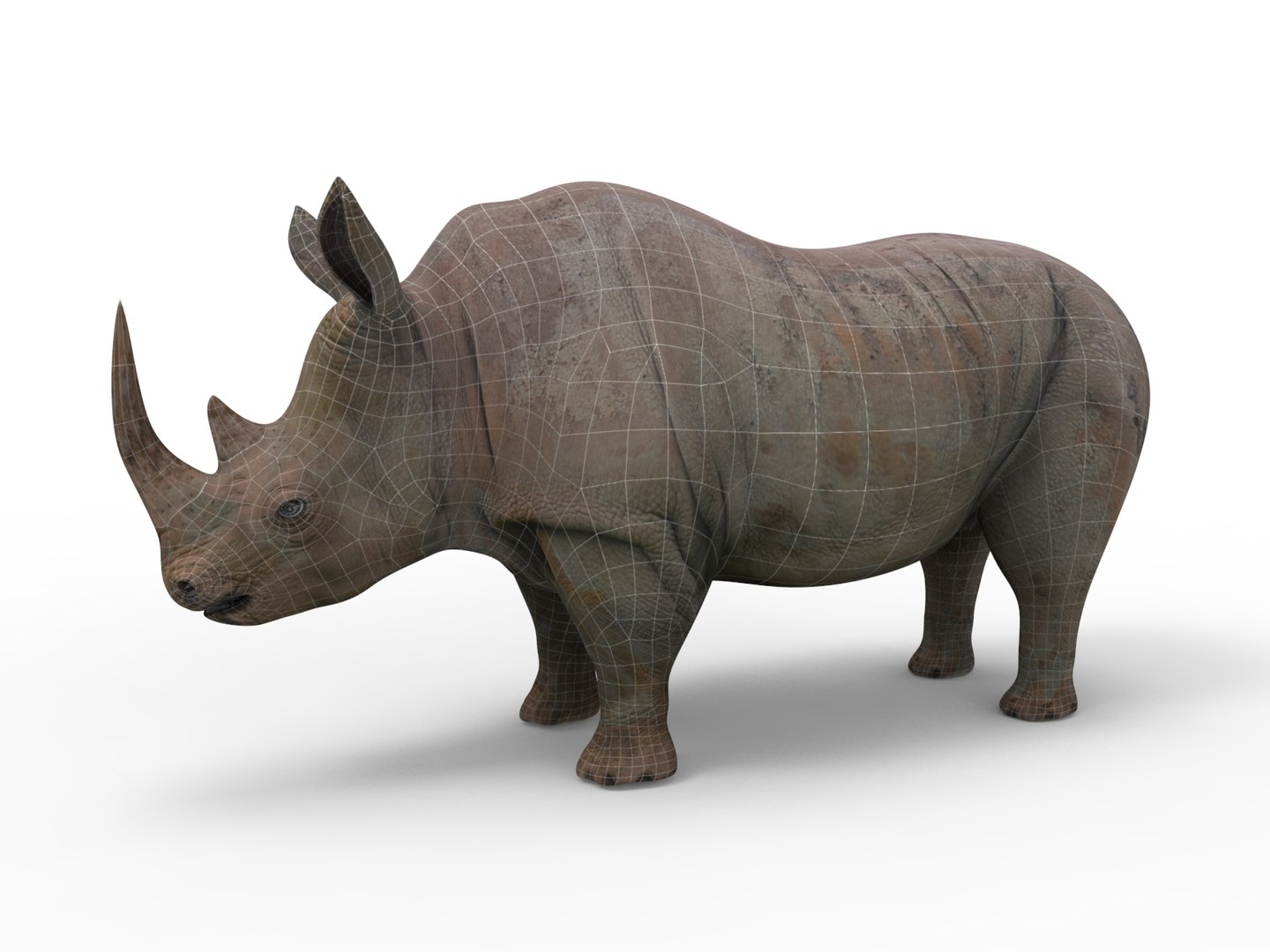 Realistic Rhino Rigged 3D Model - TurboSquid 1268914