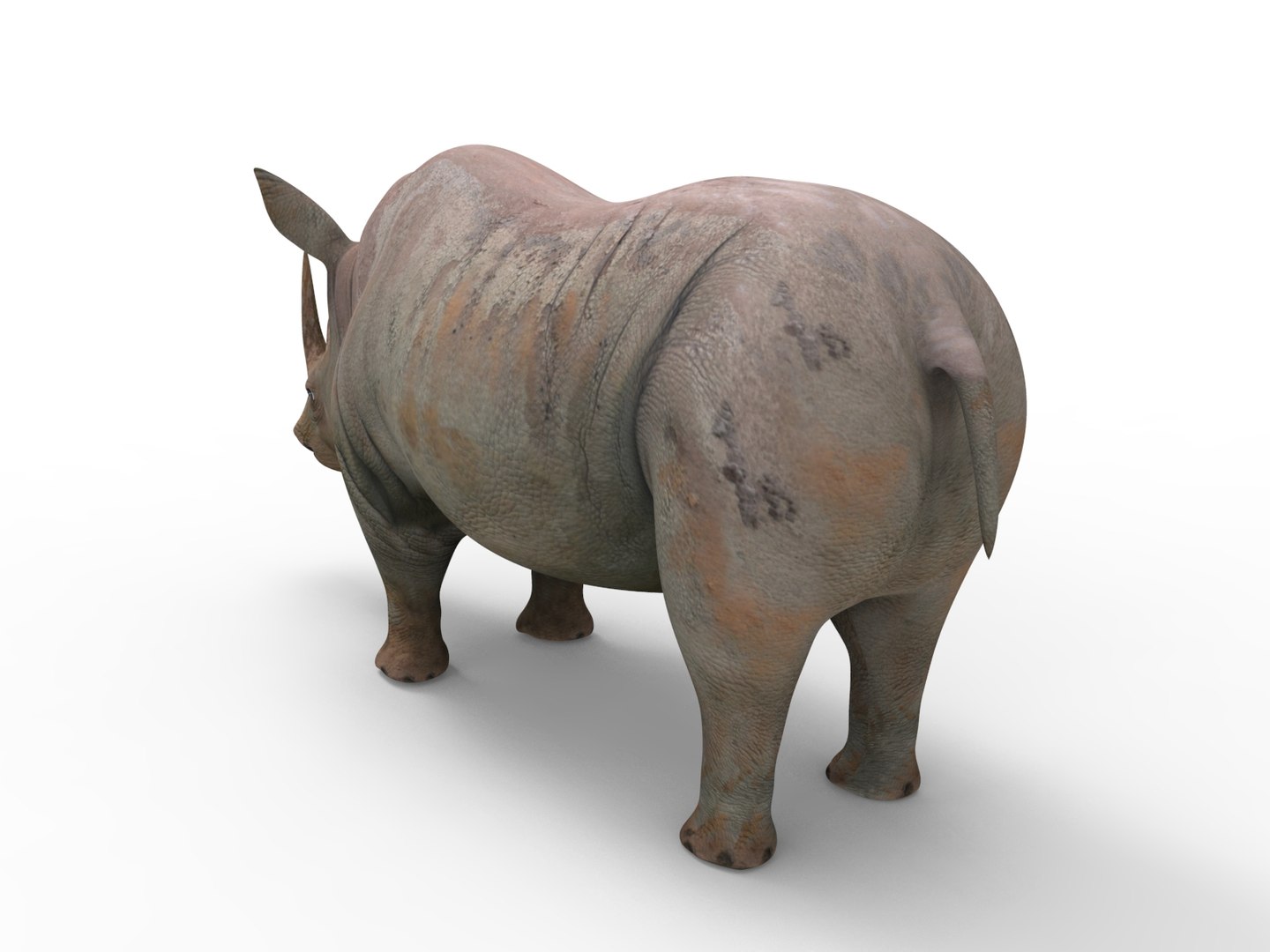 Realistic Rhino Rigged 3D Model - TurboSquid 1268914