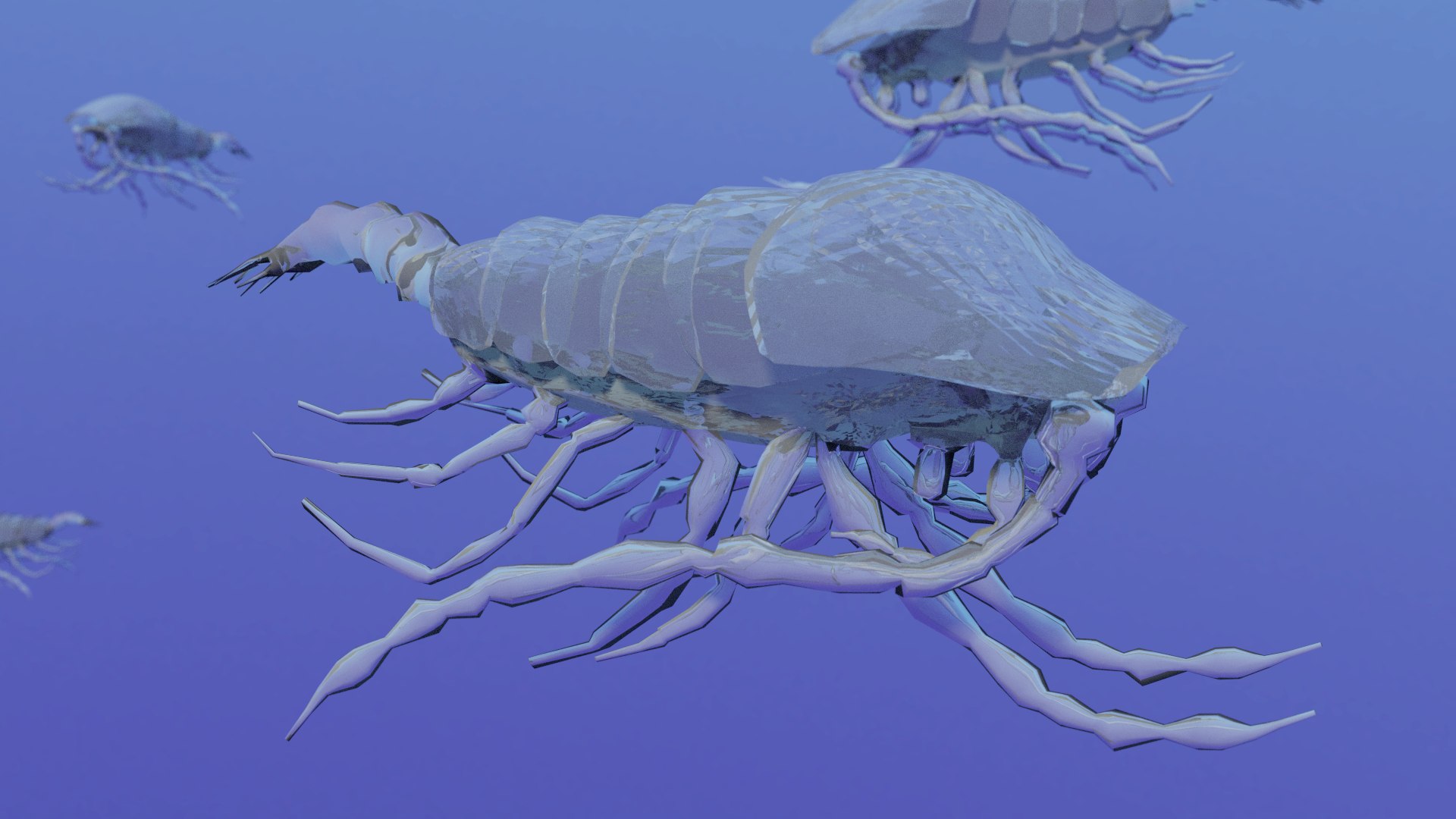 Copepod 3d X