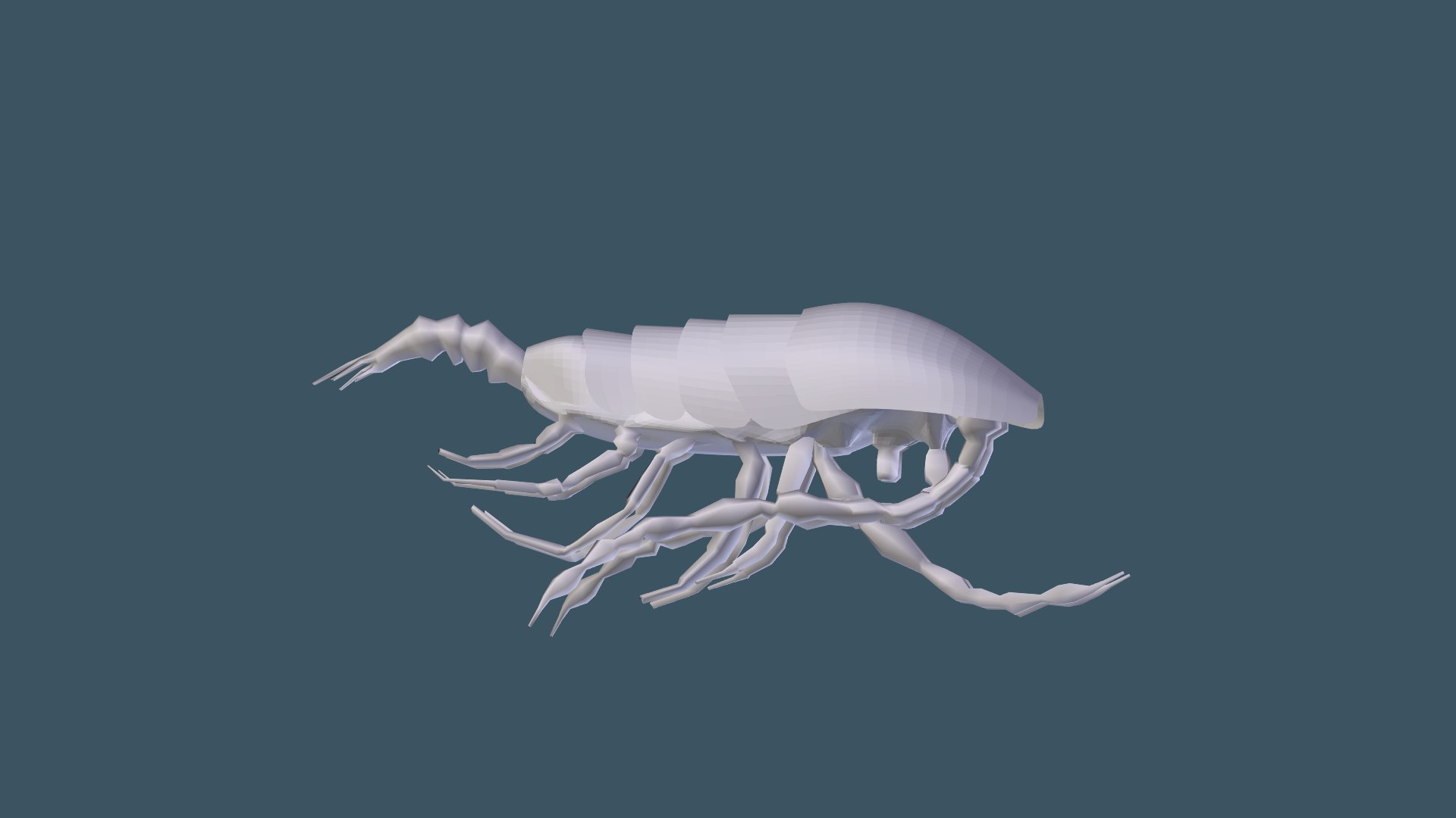 Copepod 3d X