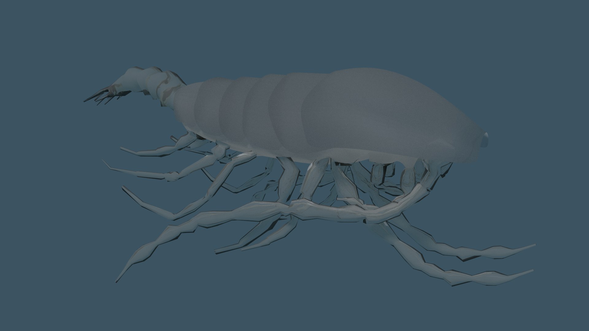 Copepod 3d X