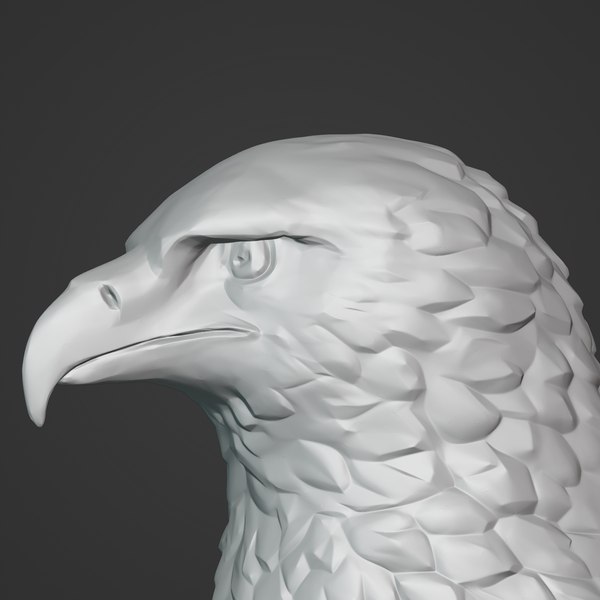 Eagle Bust - Original Design - Printable 3D model - TurboSquid 2015508