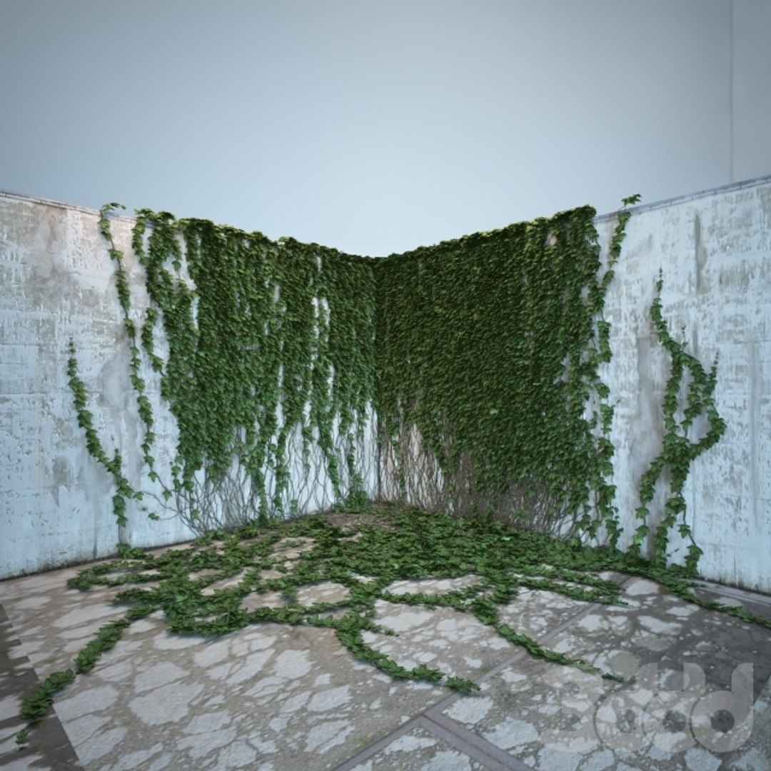 3D Model Corner Ivy - TurboSquid 1182312