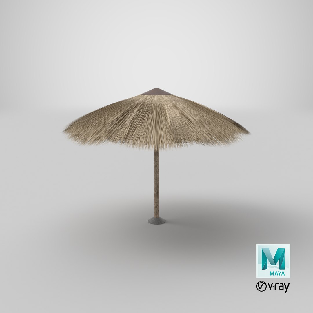 3D Thatch Umbrella Model - TurboSquid 1960112