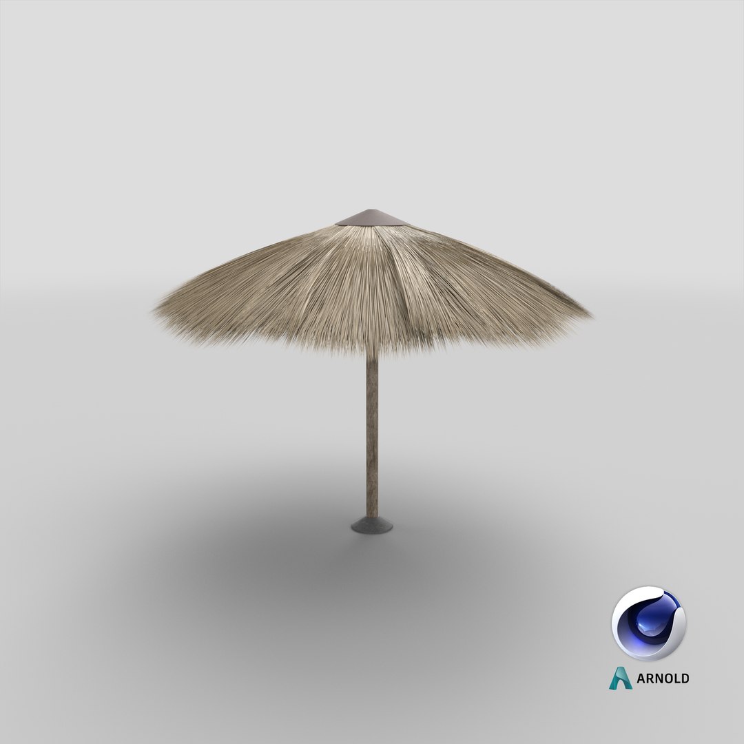 3D Thatch Umbrella Model - TurboSquid 1960112