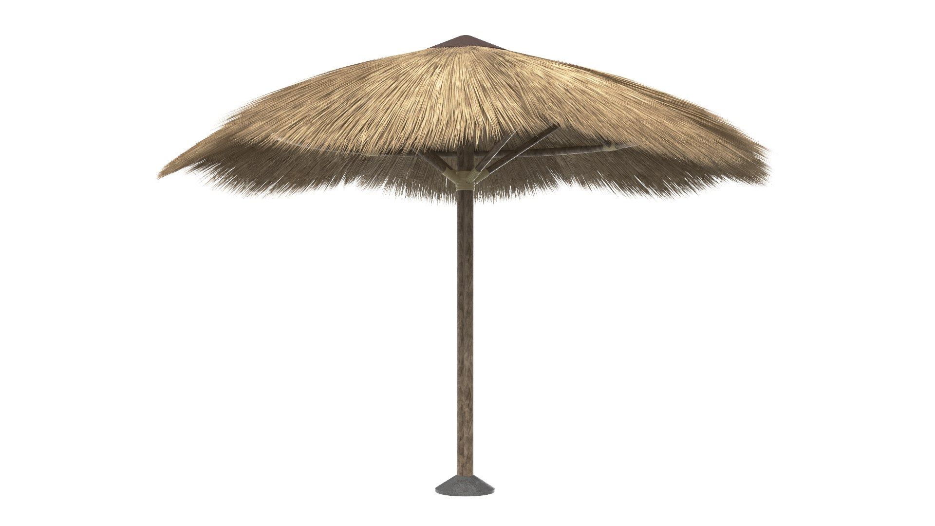 3D Thatch Umbrella Model - TurboSquid 1960112