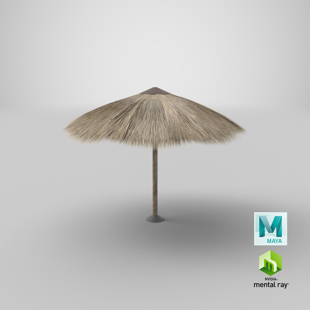 3D Thatch Umbrella Model - TurboSquid 1960112