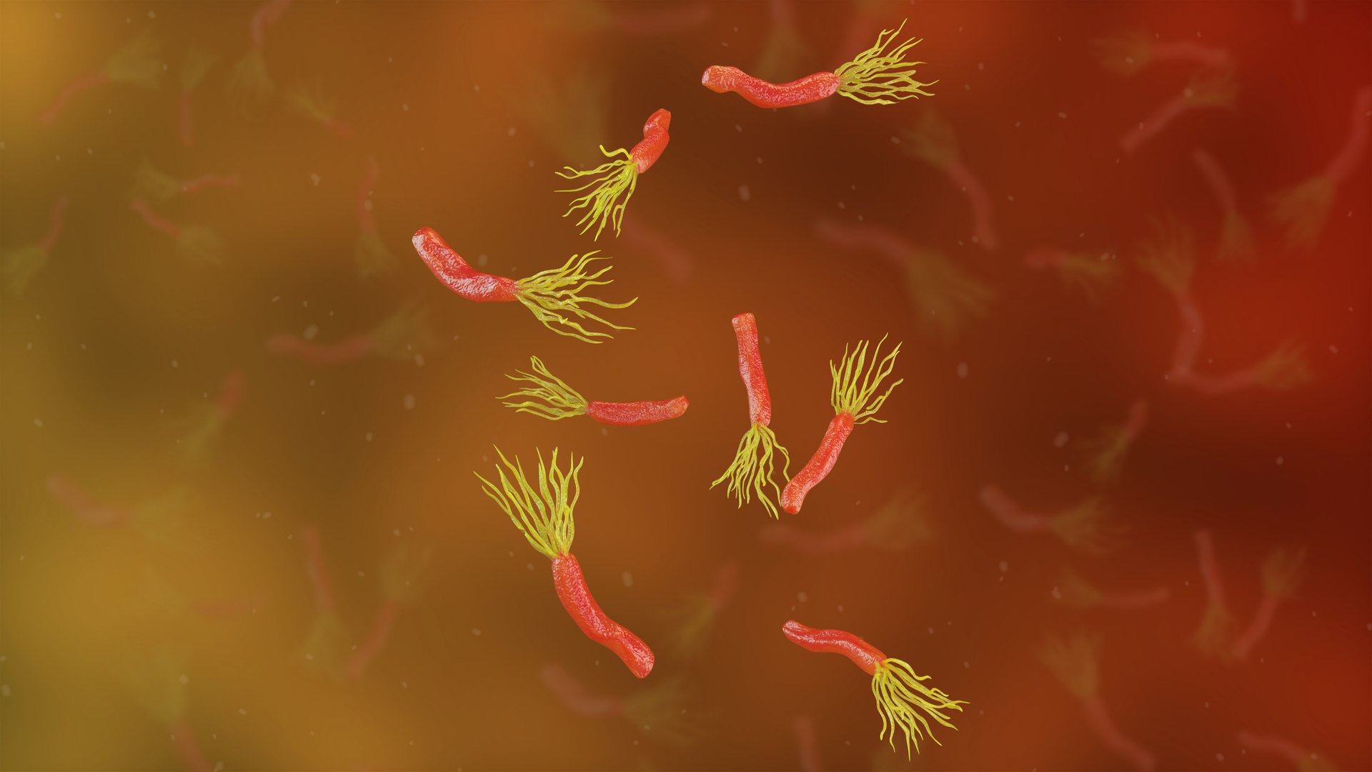 3D Helicobacter - TurboSquid 2213946