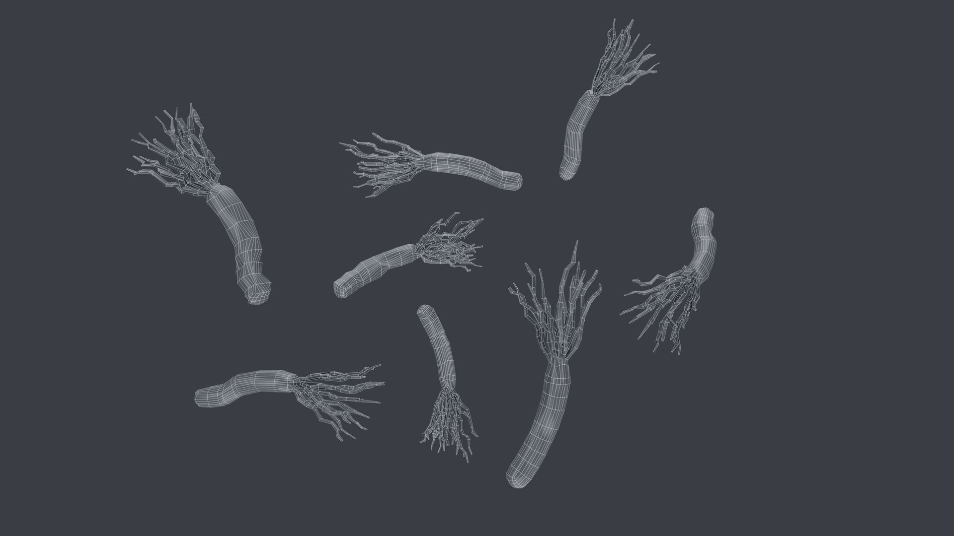 3D Helicobacter - TurboSquid 2213946