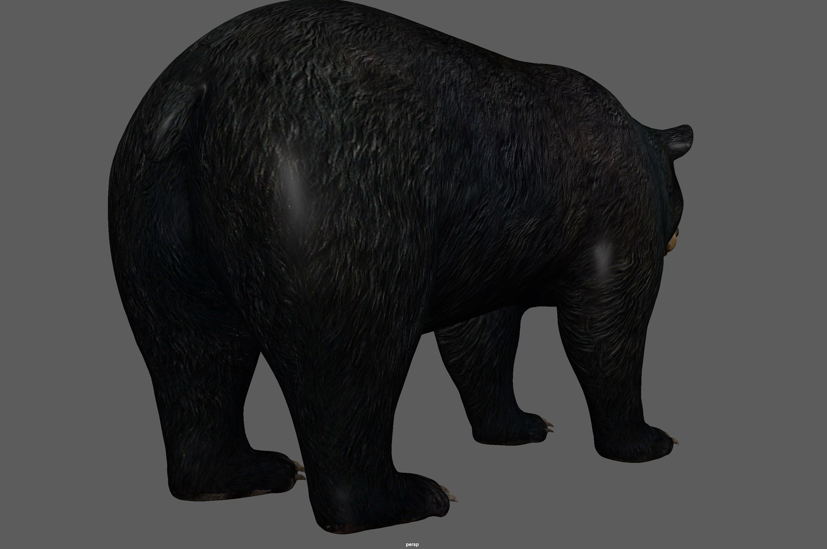 3D Black Bear Model - TurboSquid 1832316