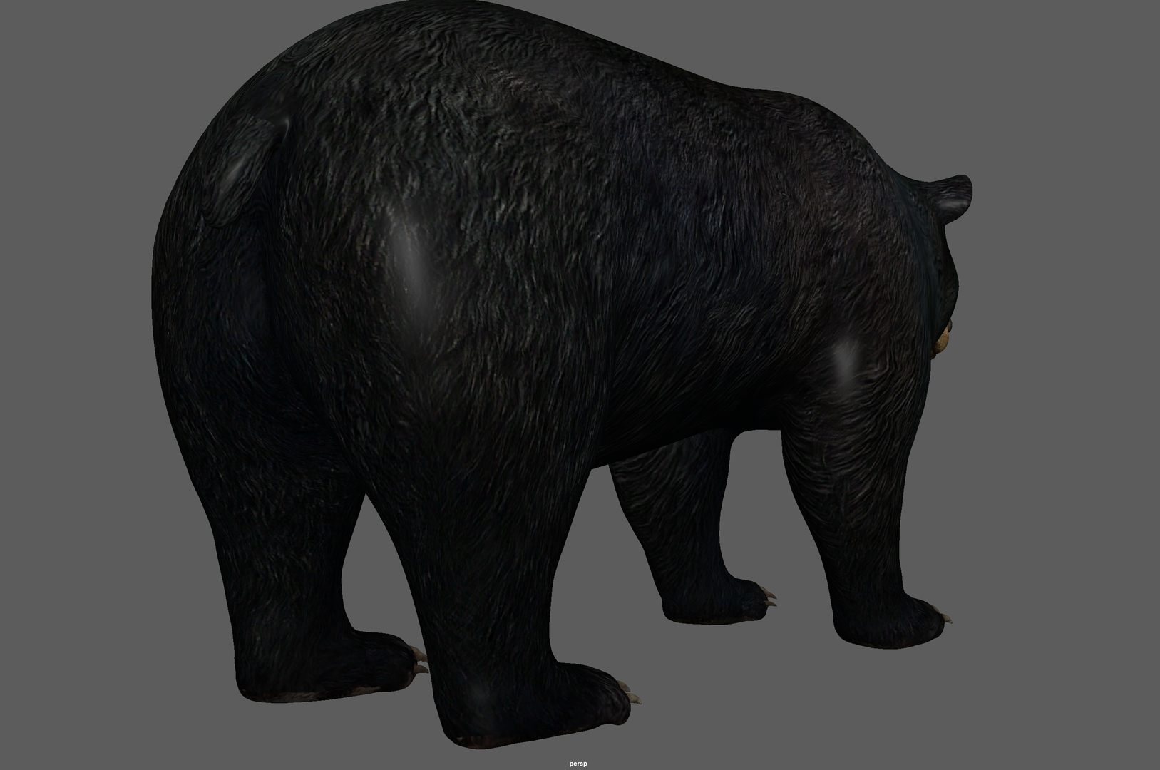 3D Black Bear model - TurboSquid 1832316