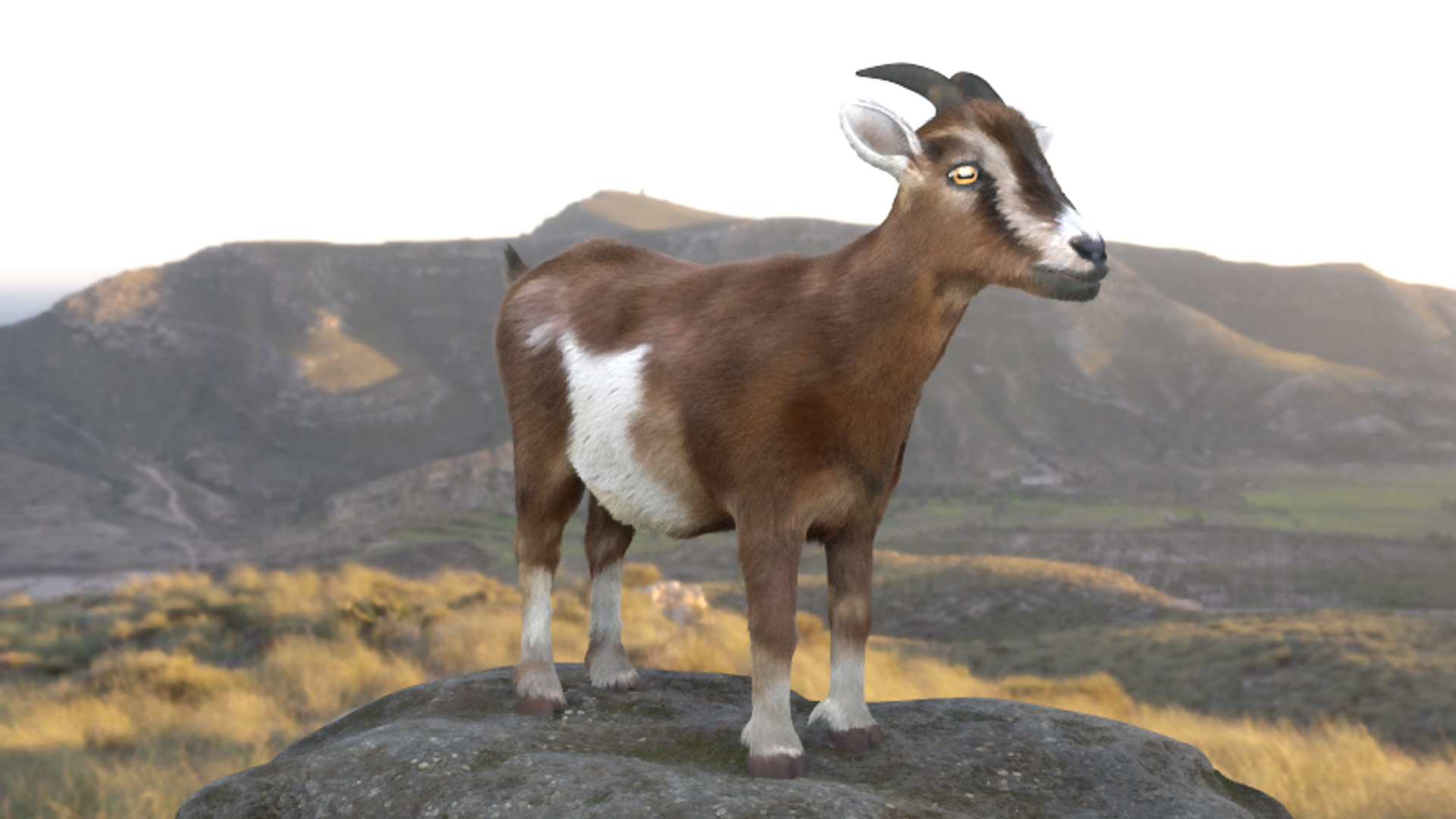 Xgen Fur Model - TurboSquid 1546322