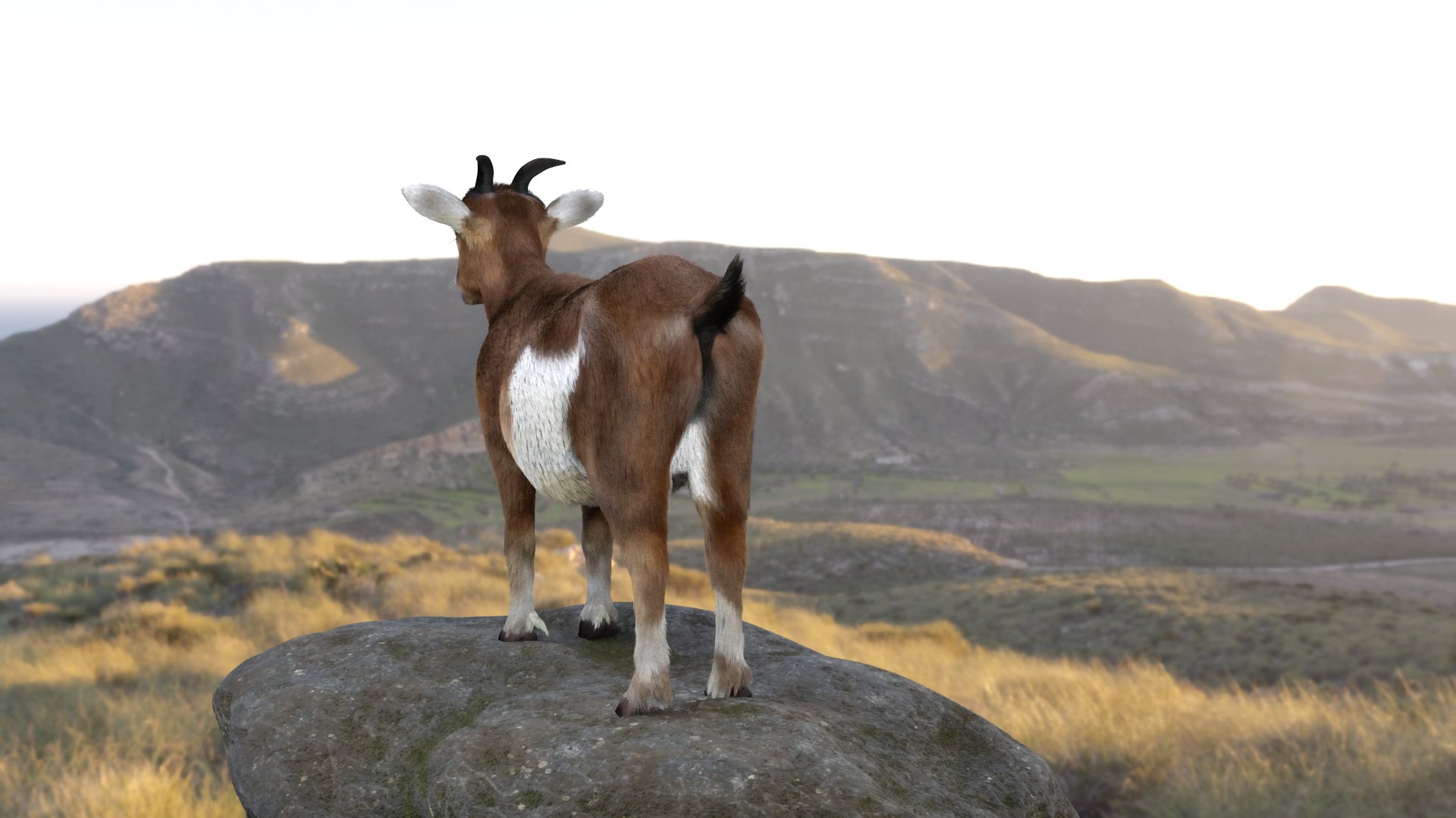 Xgen Fur Model - TurboSquid 1546322