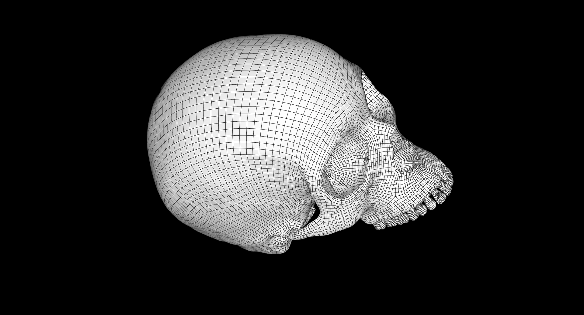 3D female skull bone - TurboSquid 1375441