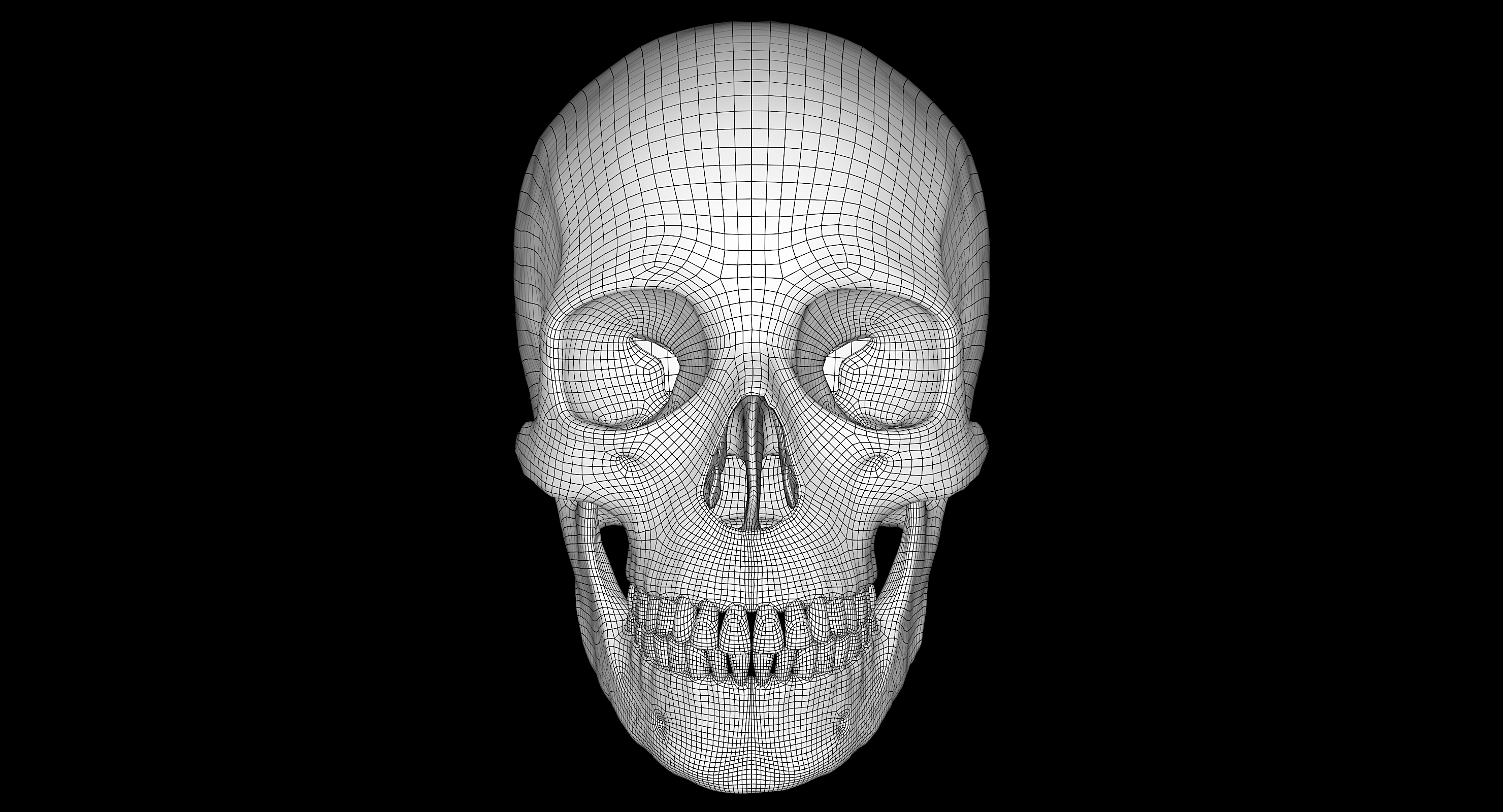 modelo 3d Cráneo femenino - TurboSquid 1375441