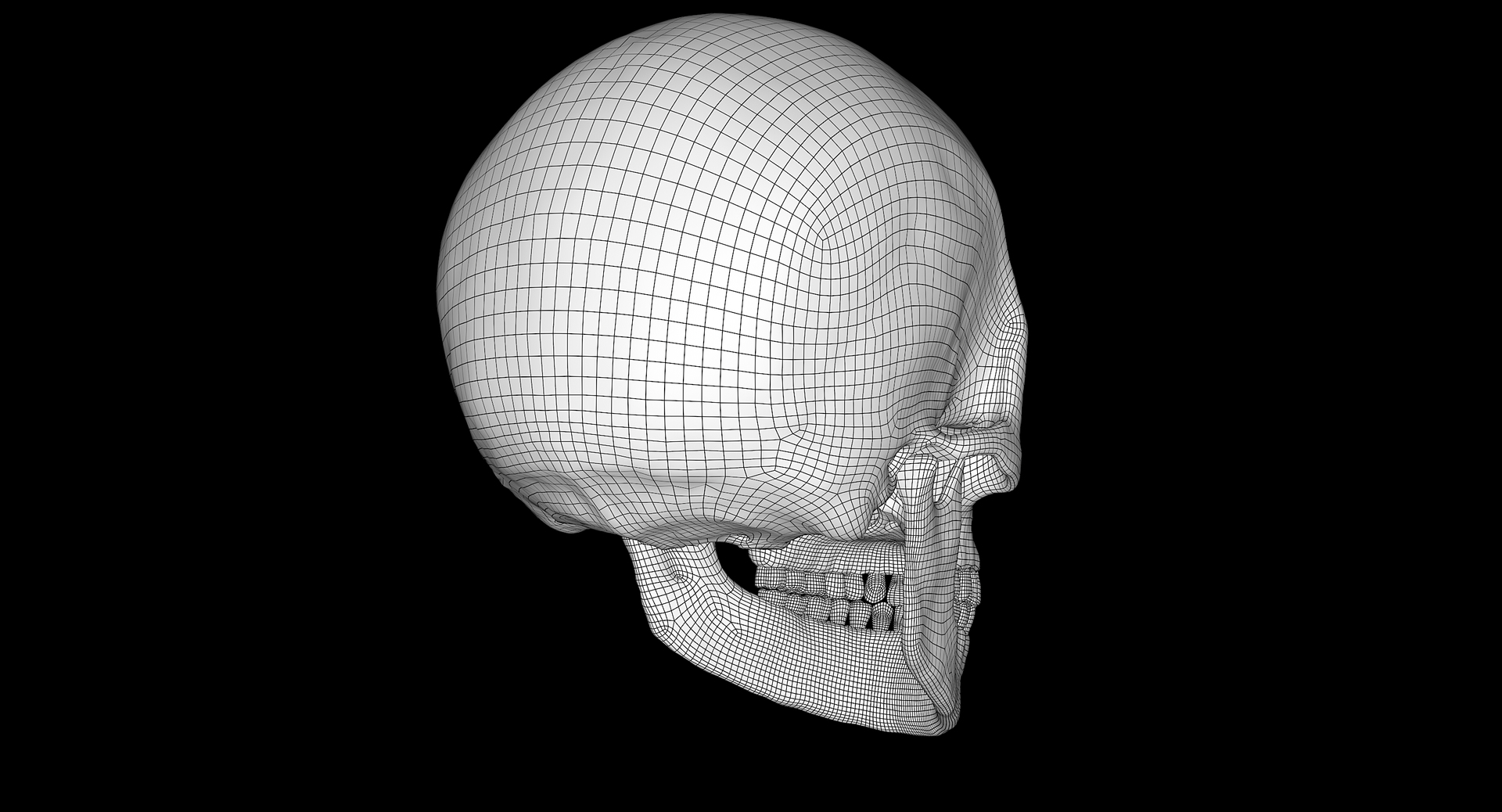 3D female skull bone - TurboSquid 1375441