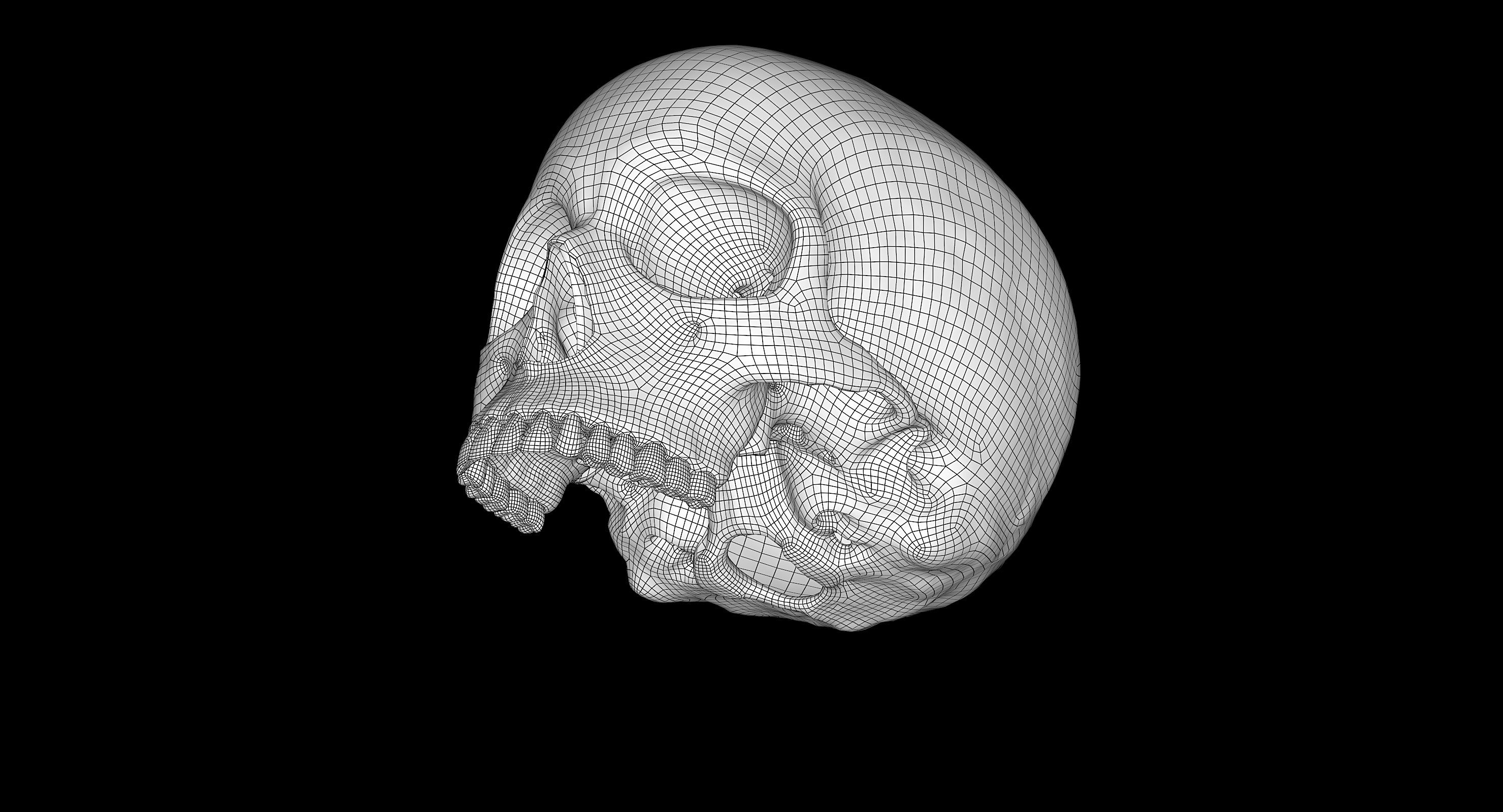 3D female skull bone - TurboSquid 1375441