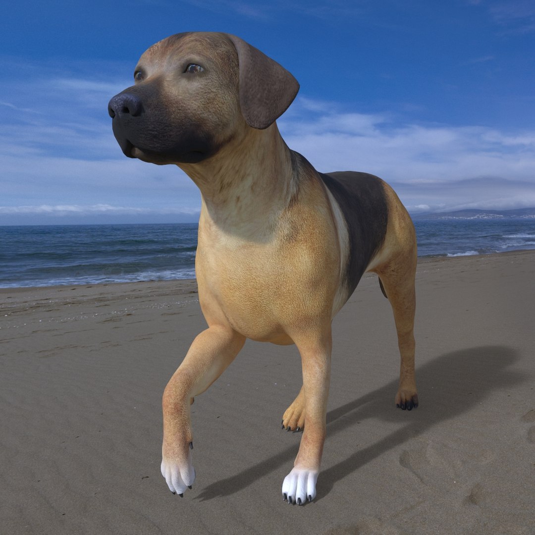 LAB-009 Dog Walking Model - TurboSquid 1913892