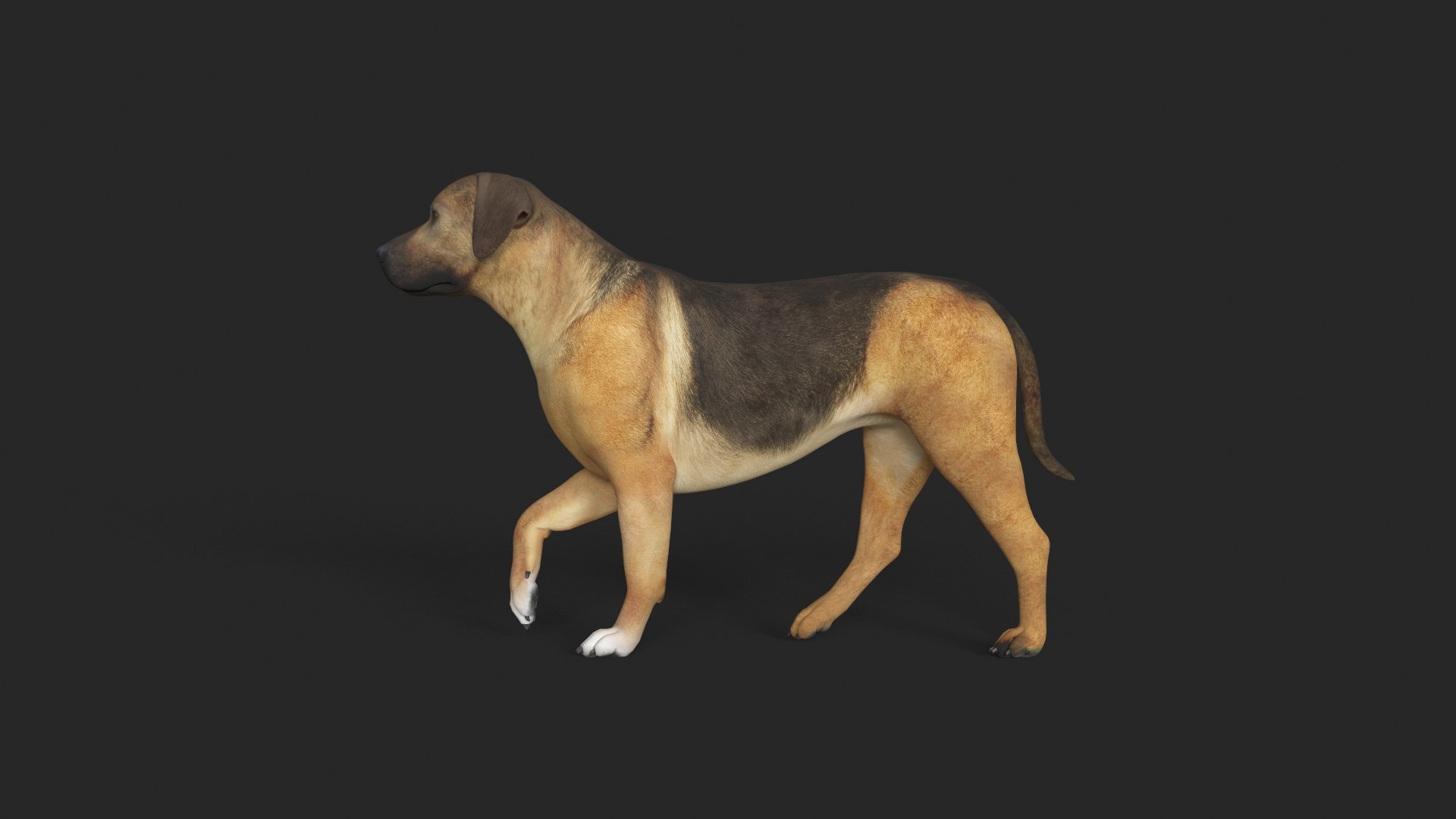 LAB-009 Dog Walking Model - TurboSquid 1913892