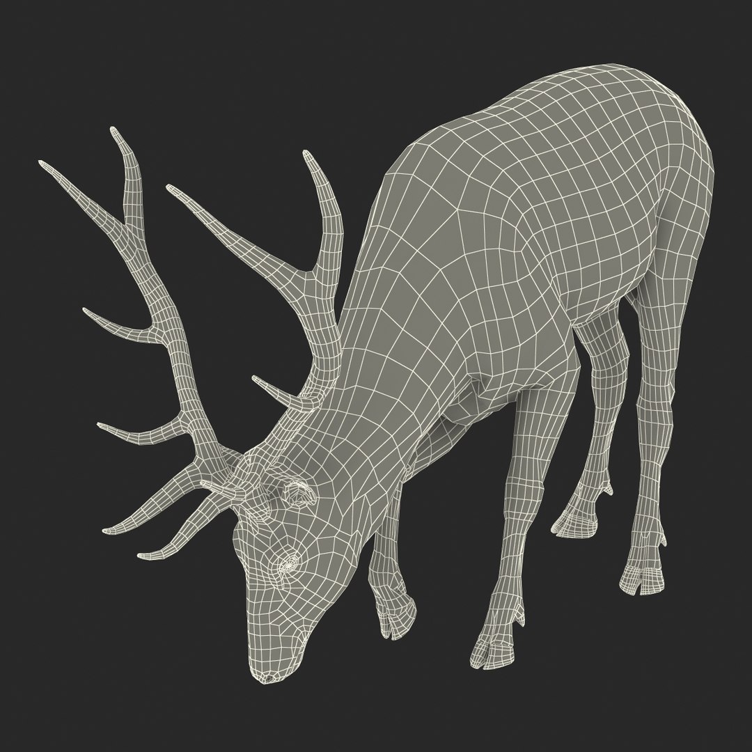 3d Elk Eating Pose Fur Model