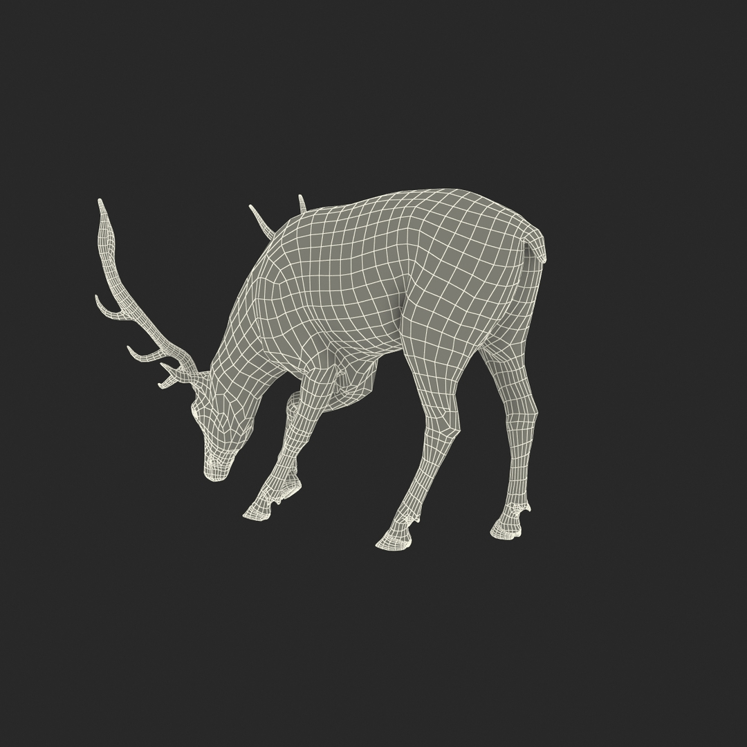 3d Elk Eating Pose Fur Model
