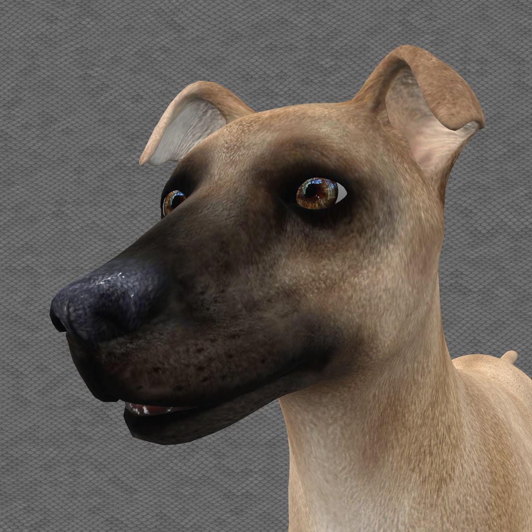 0023 Rigged Male Dog 3D Model - TurboSquid 1740930