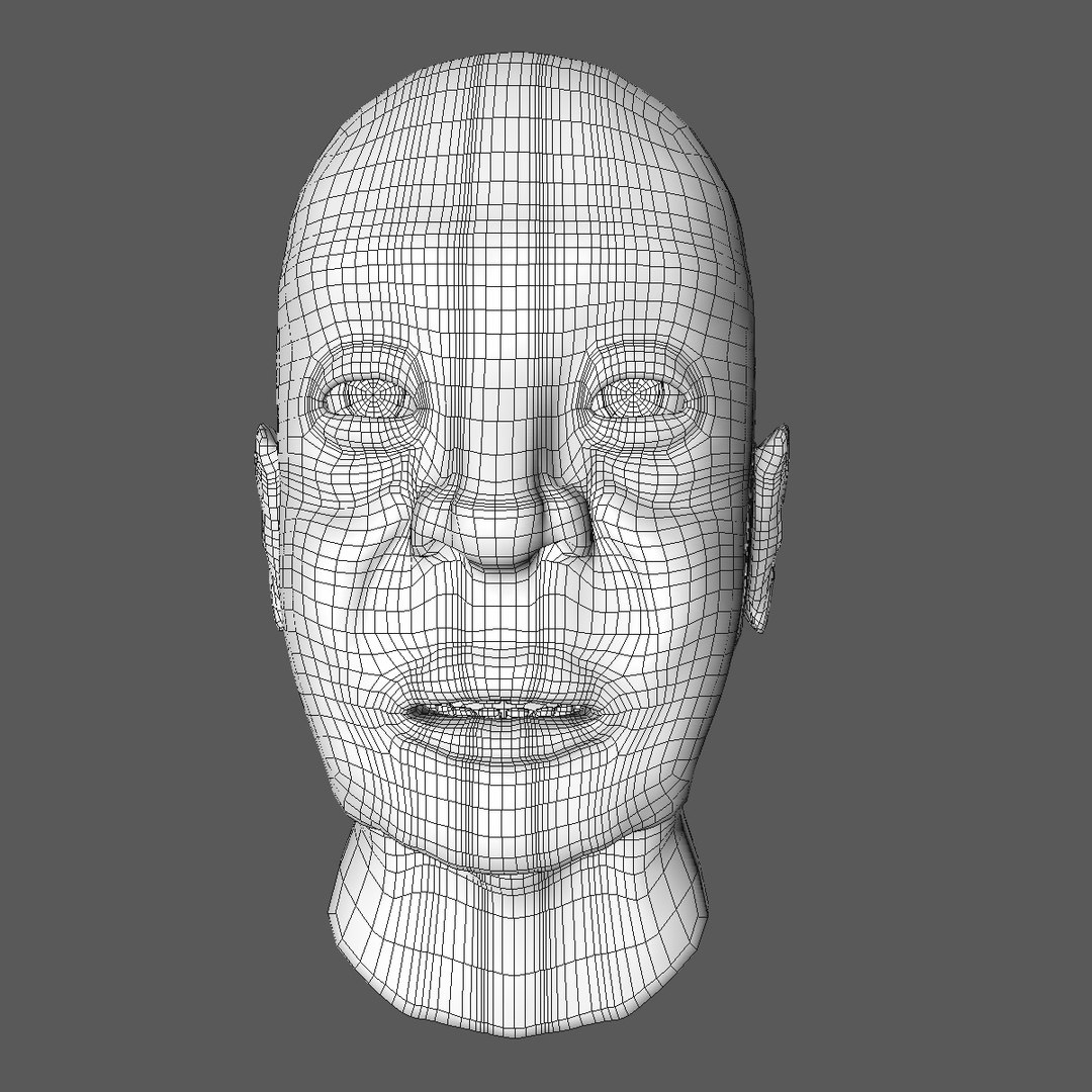 3d european man head male