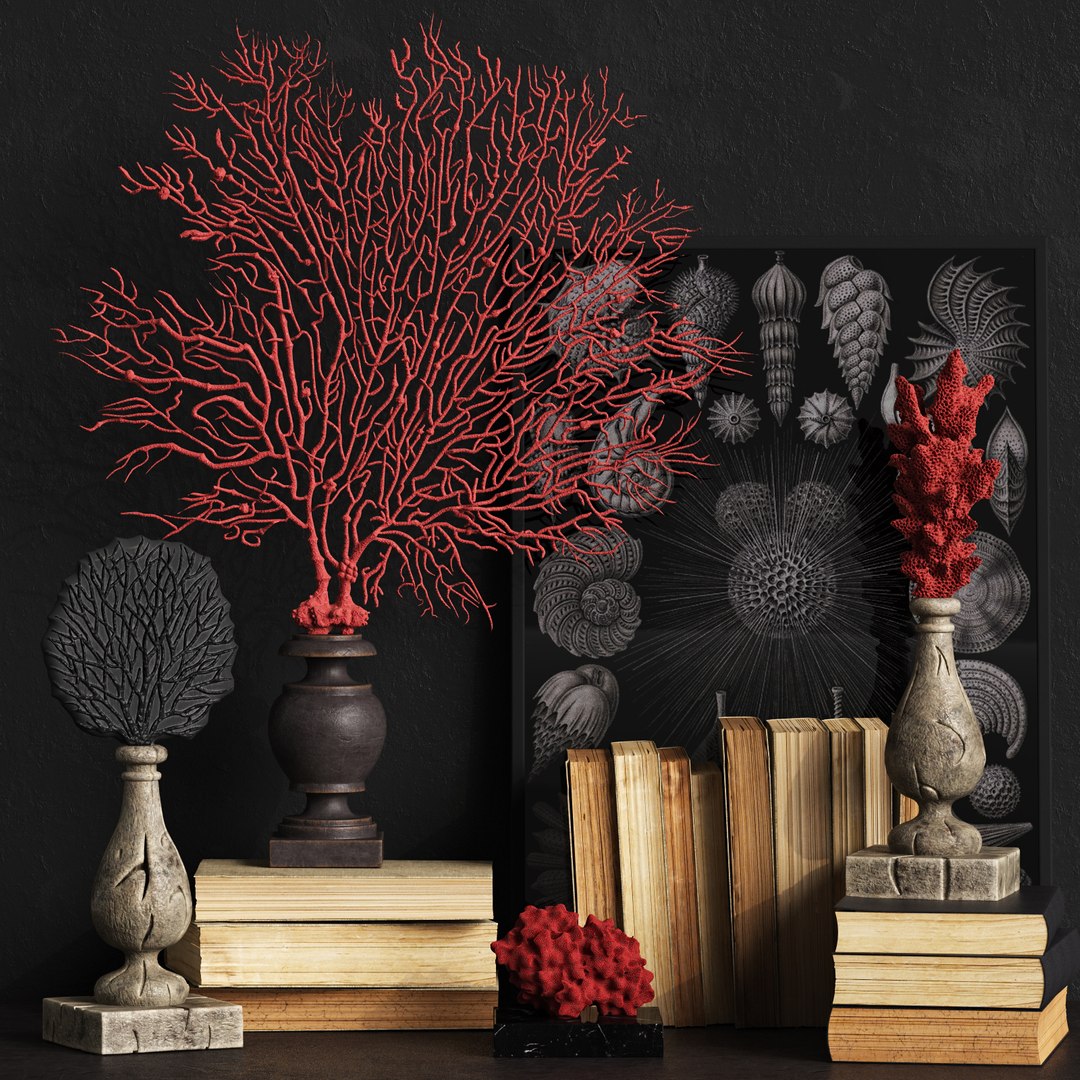 3D Coral Set 2 Model - TurboSquid 1207246