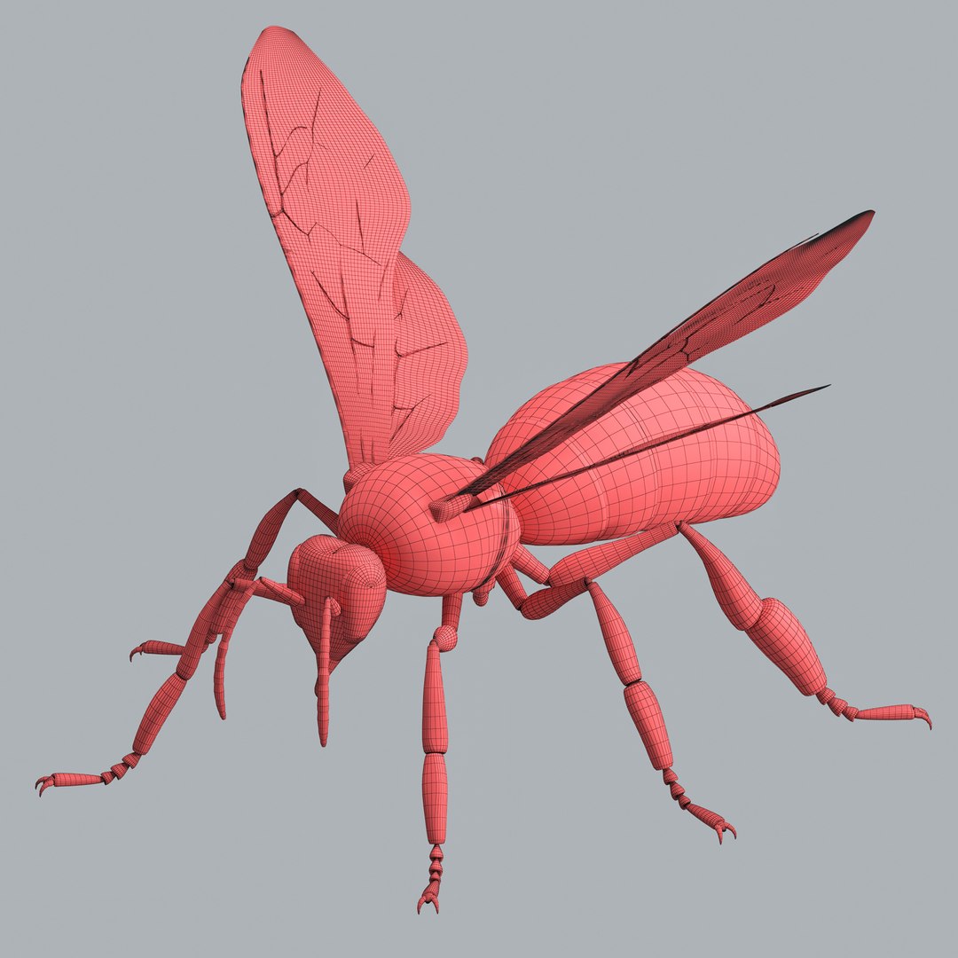 Bee 3D Model - TurboSquid 1474247