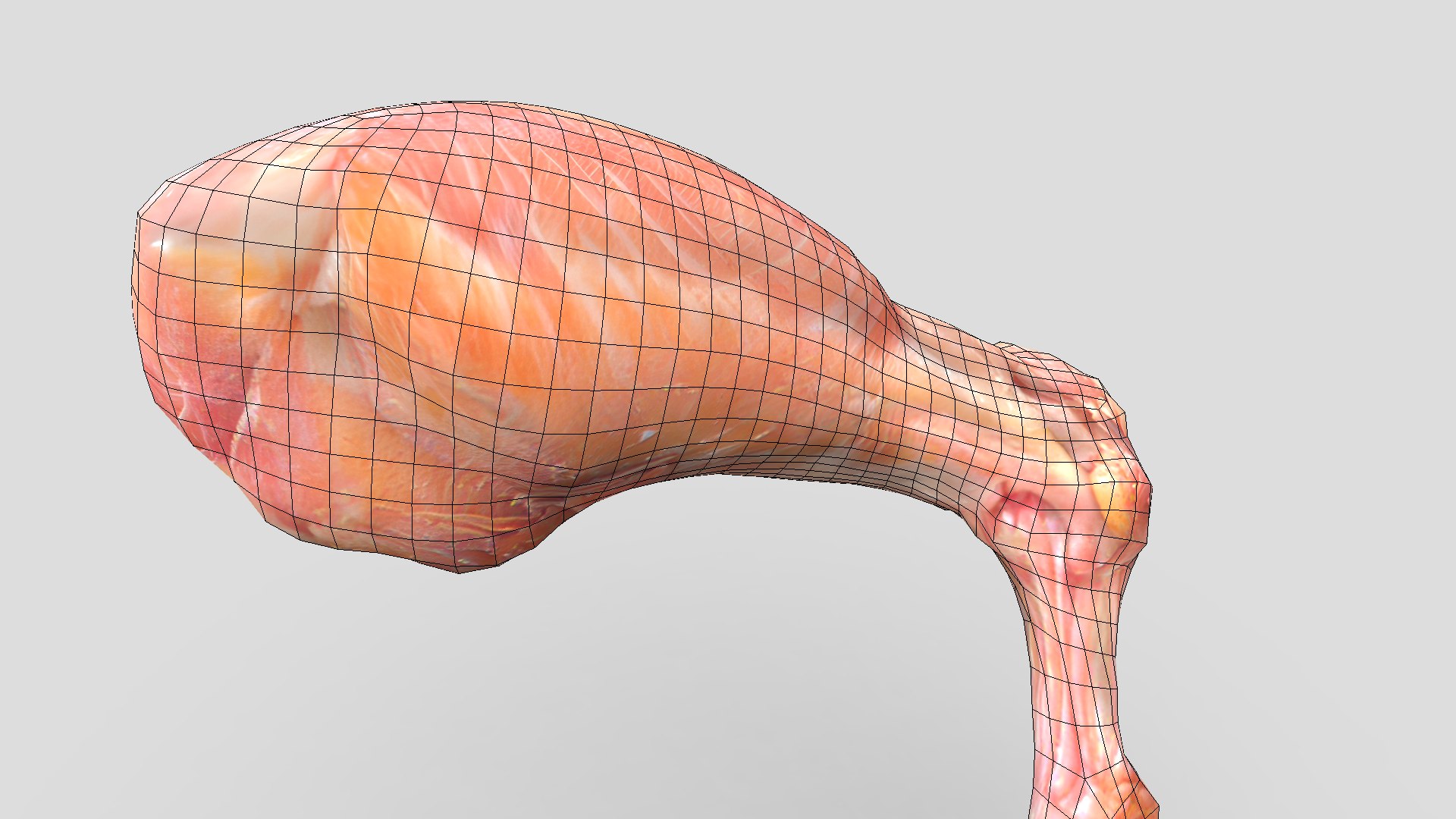 Raw Chicken Leg 3D Model - TurboSquid 2217162