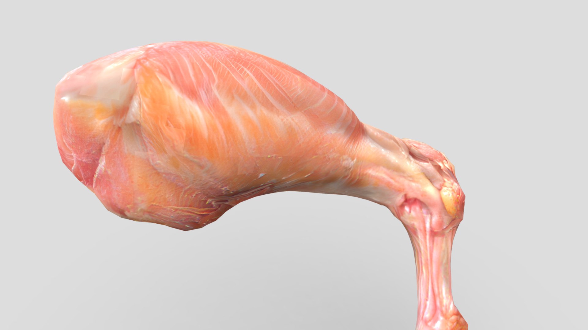 Raw Chicken Leg 3D Model - TurboSquid 2217162